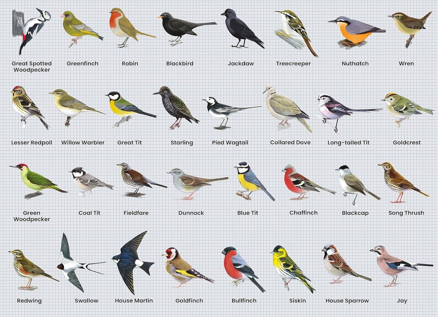 British Birds Jigsaw