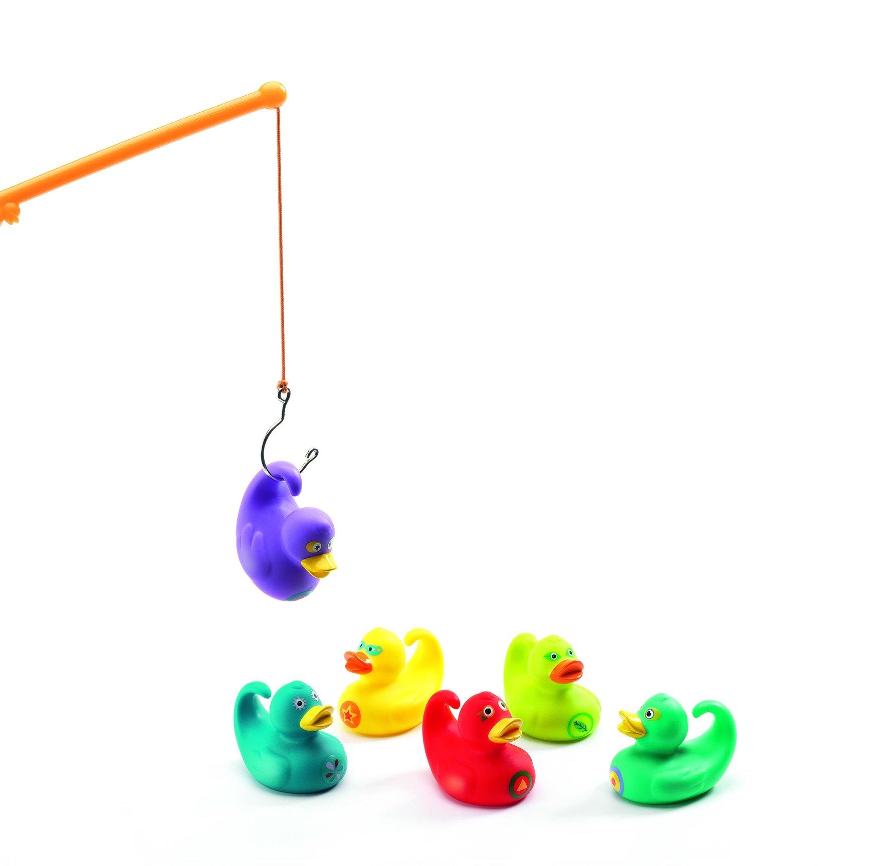Rainbow Fishing Ducks