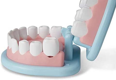 Super Smile Dentist Kit Play Set
