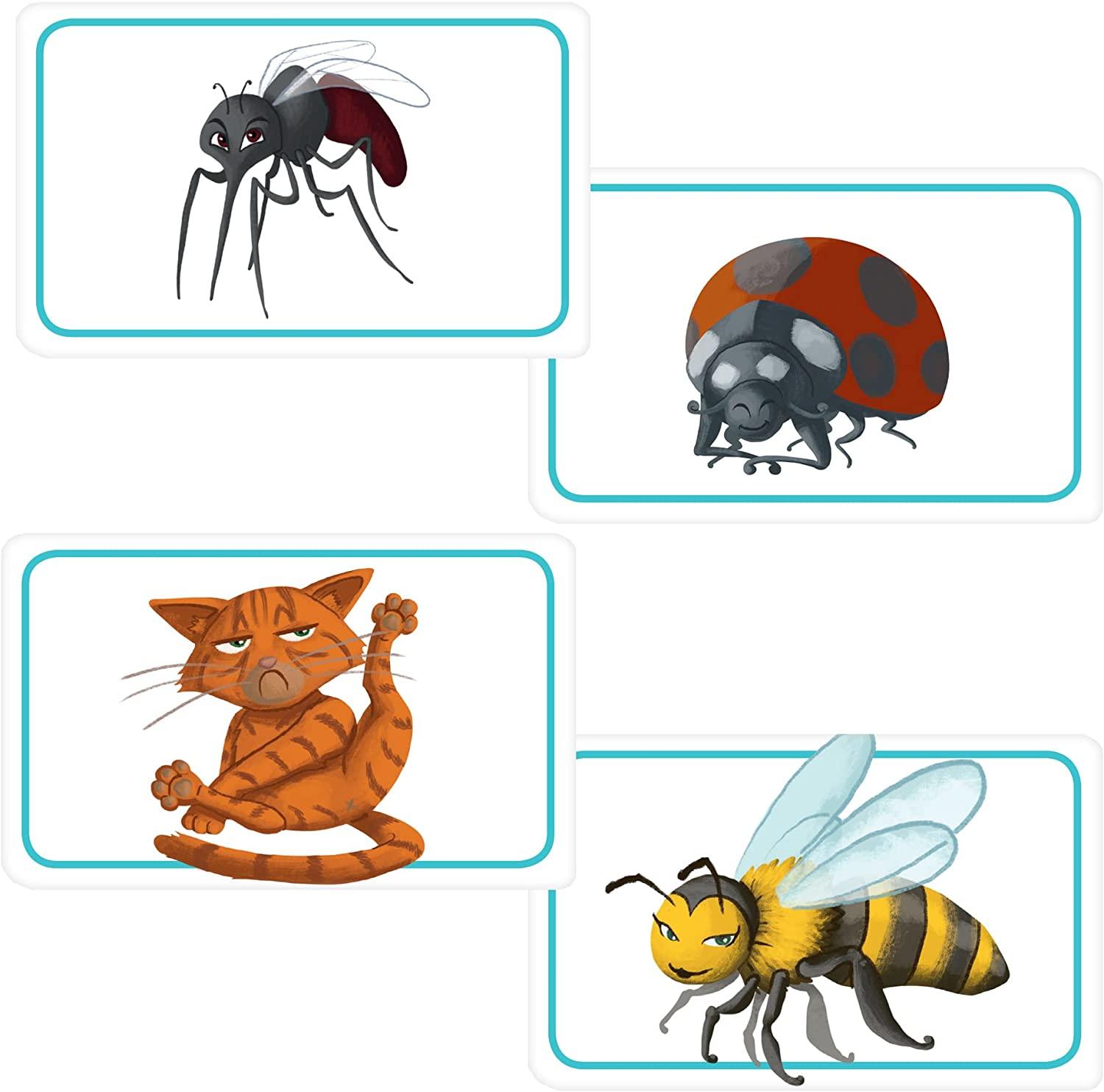 Concept Kids Animals
