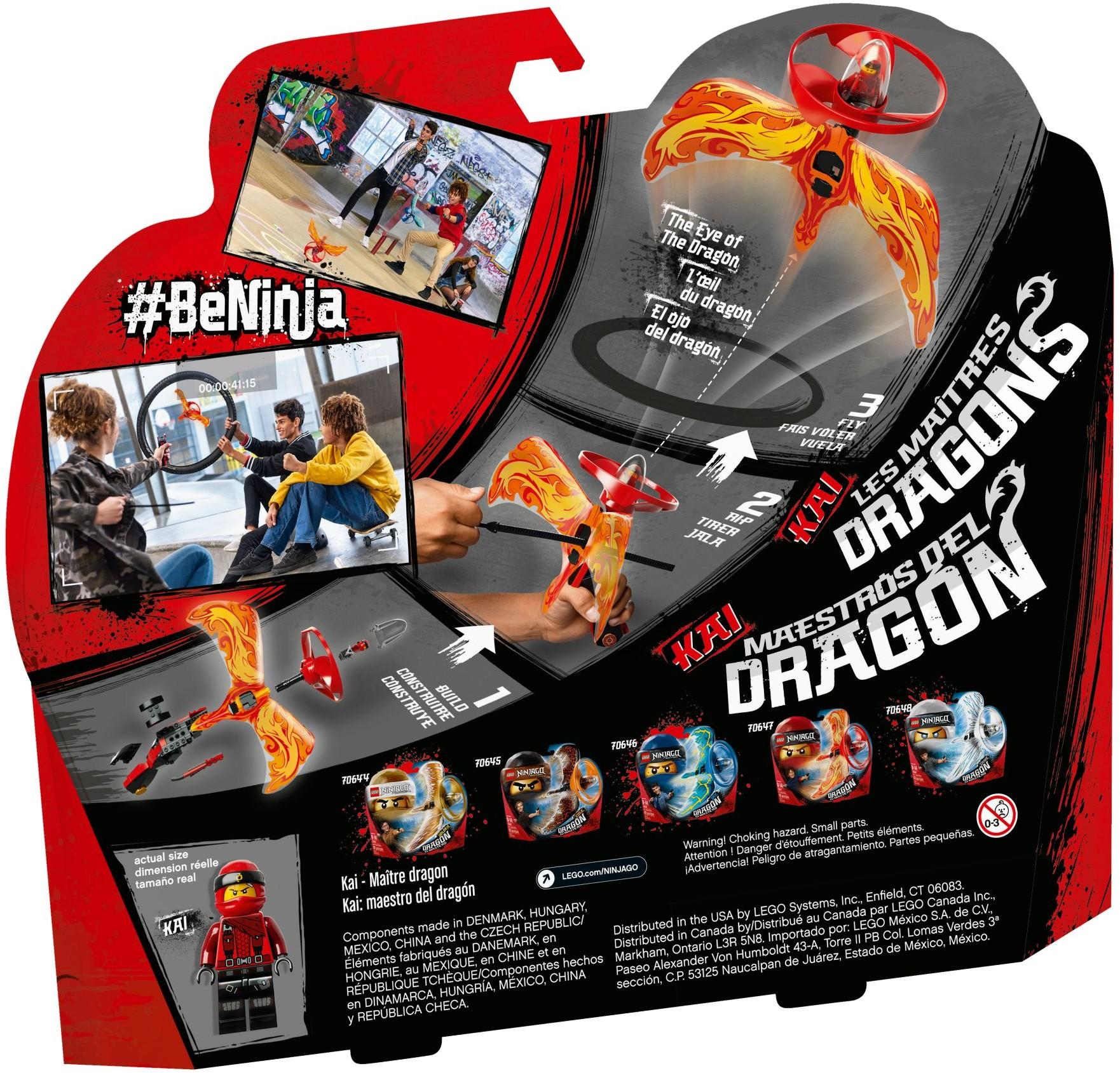Kai- Dragon Master
