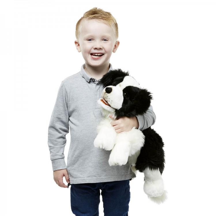 Border Collie Playful Puppy Puppet