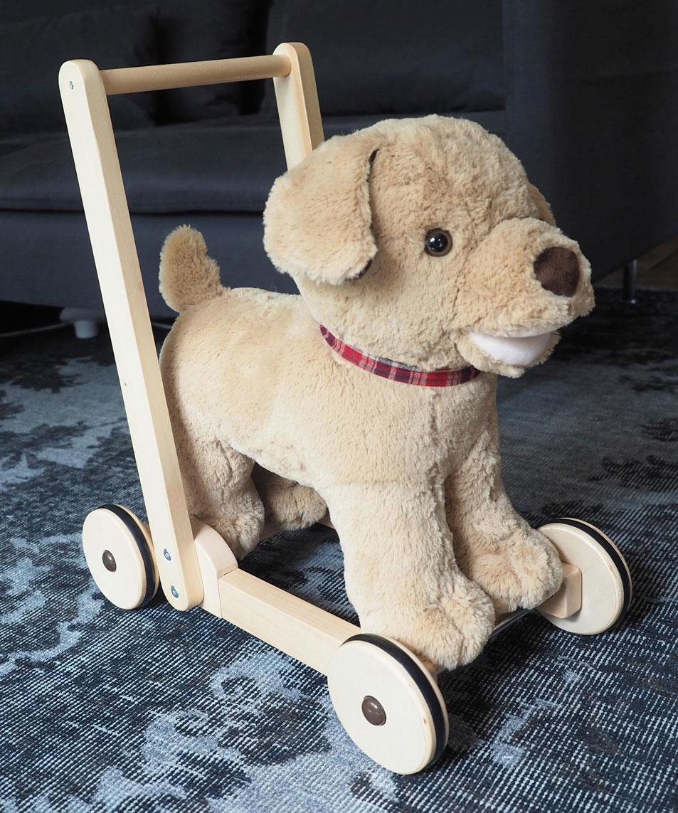 Dexter Dog Push Along