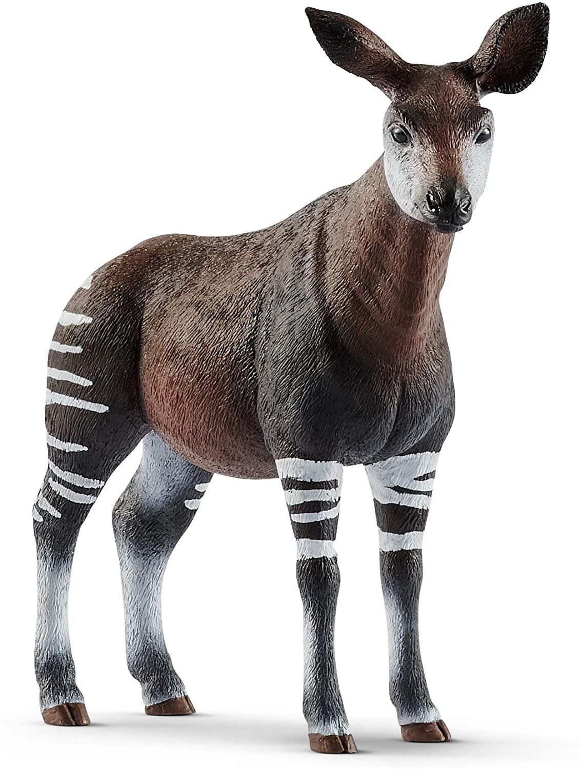 Okapi