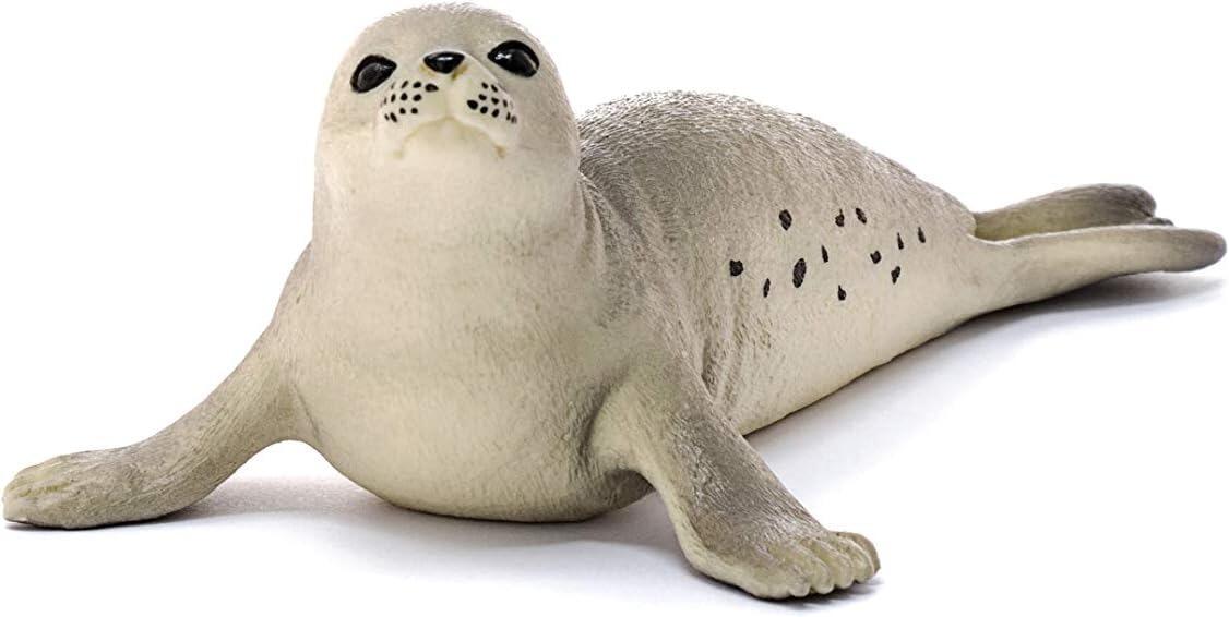 Common Seal