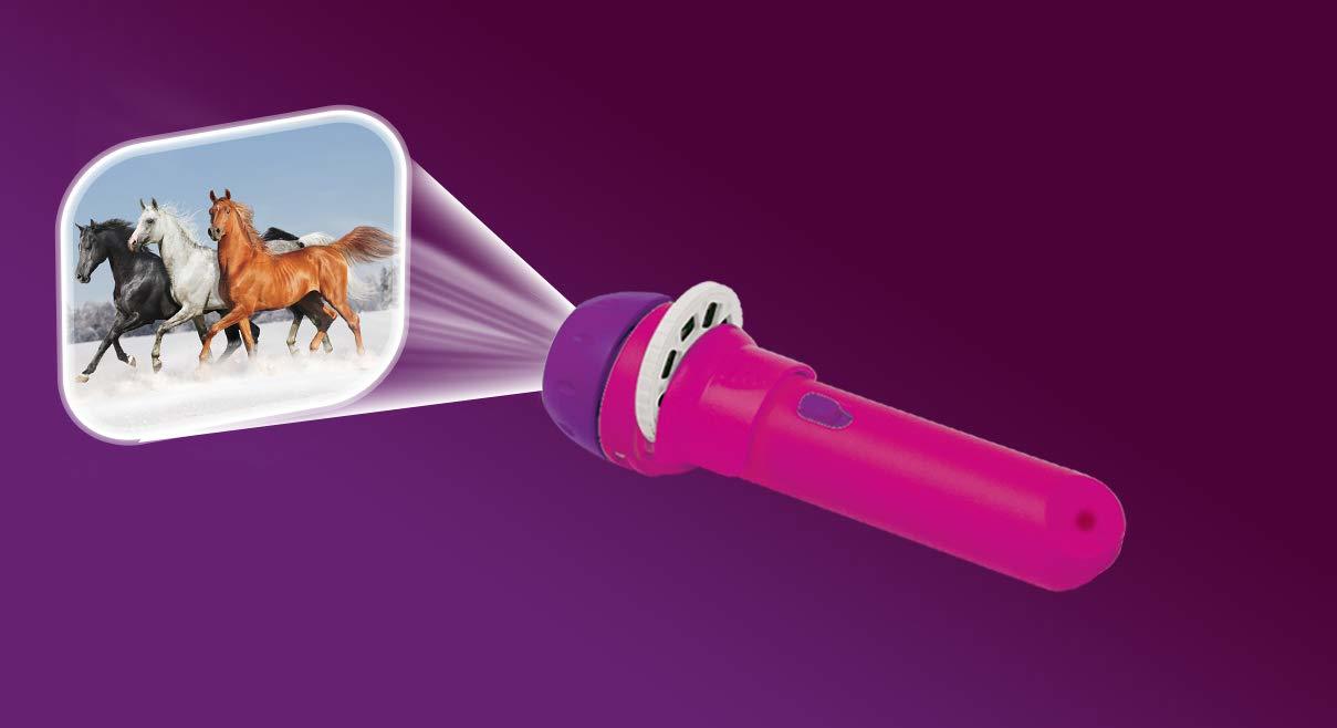 Horse Torch and Projector National History Museum