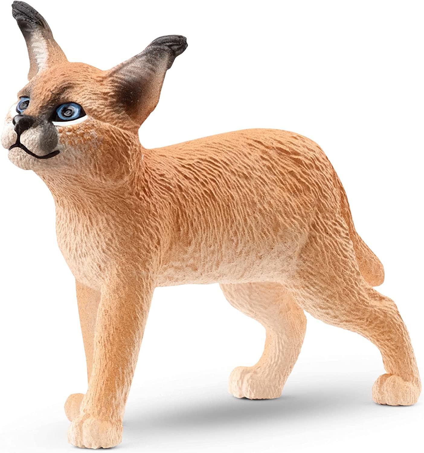 Caracal Cub