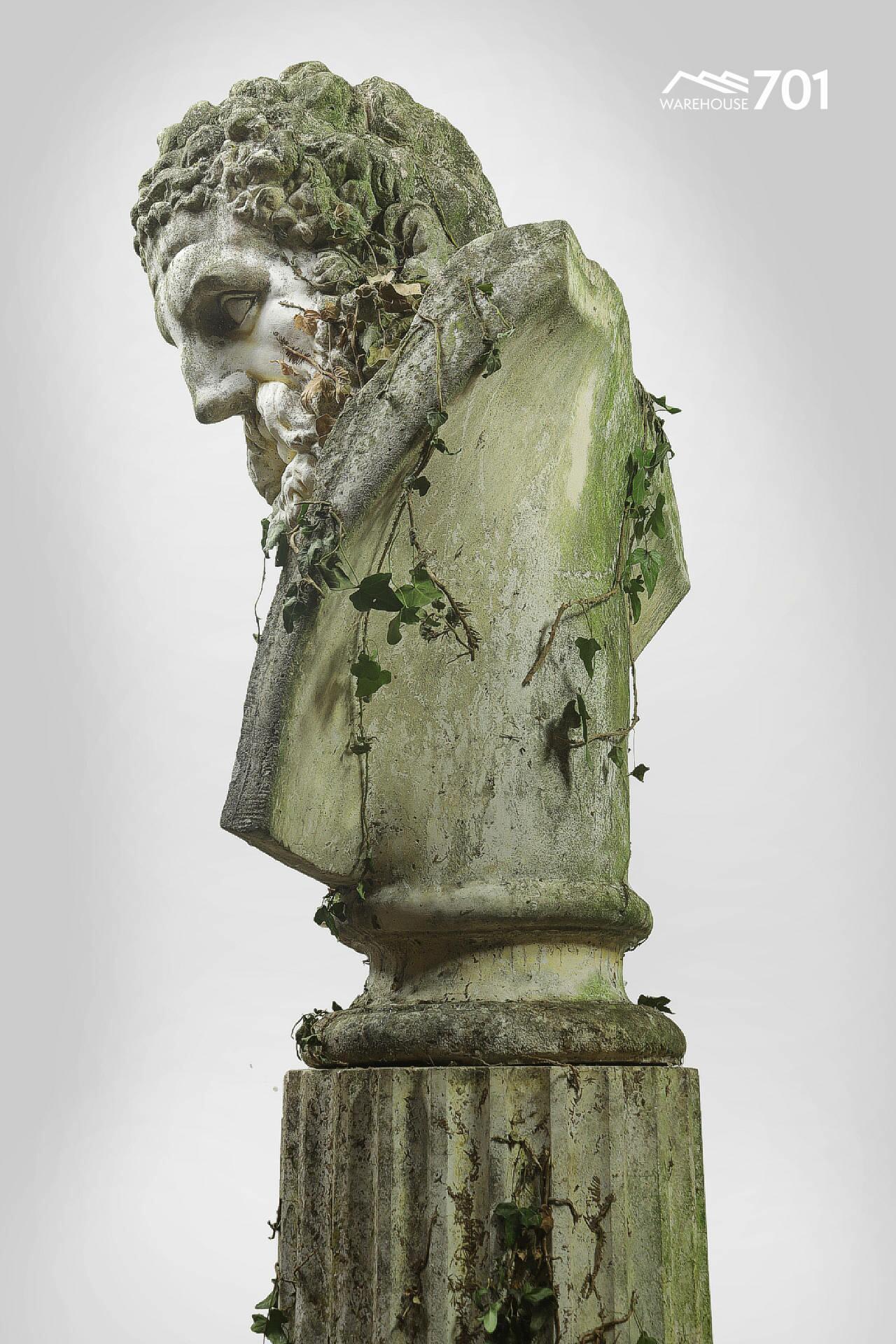 Reclaimed Stone Bust of Hercules on a Fluted Plinth