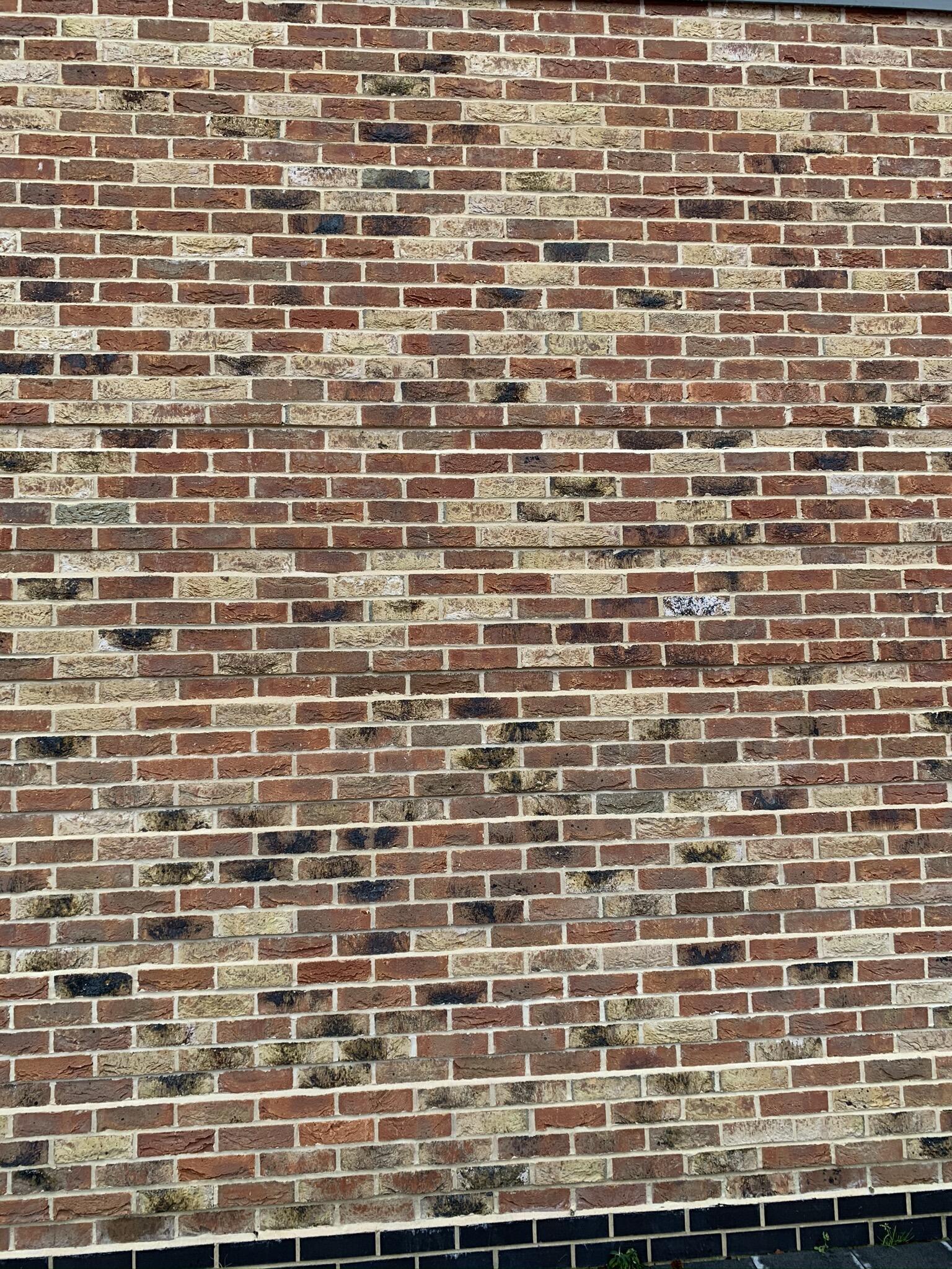 Standard 20mm Cut Brick Slip Range