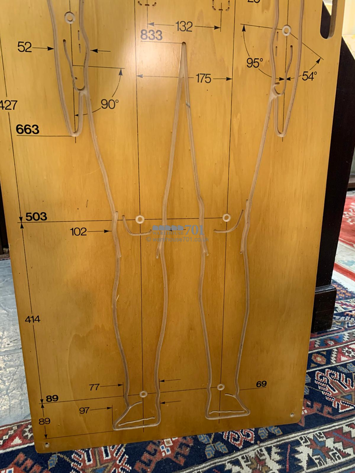 'Ideal man' life size diagram on wood