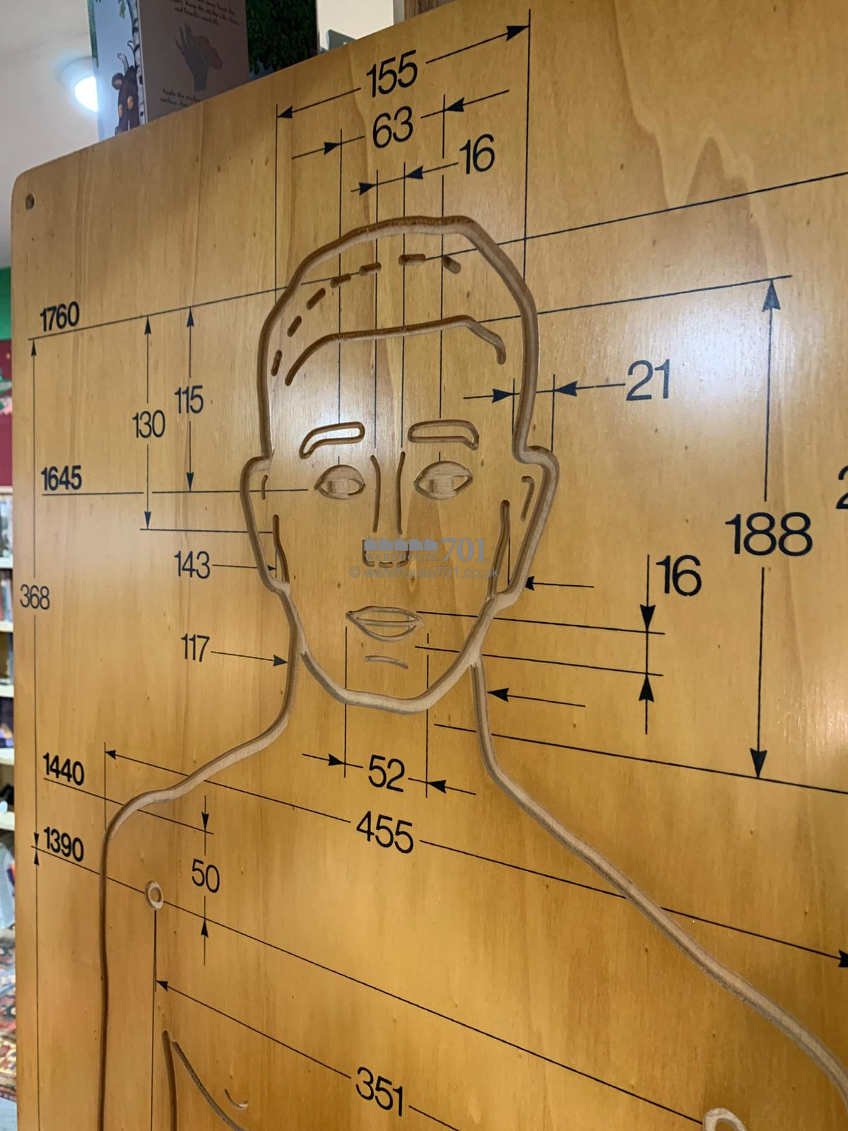 'Ideal man' life size diagram on wood