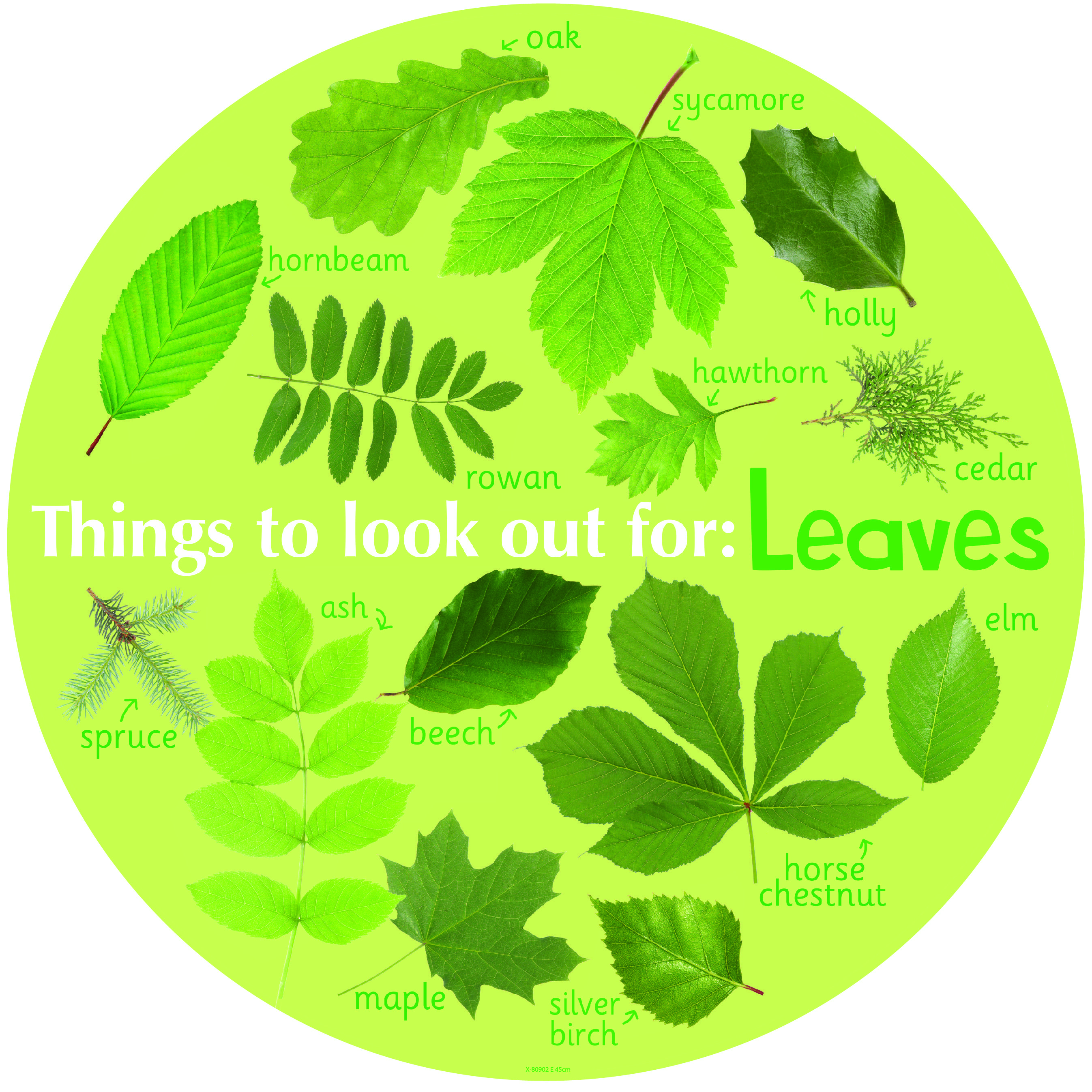 Things to look out for