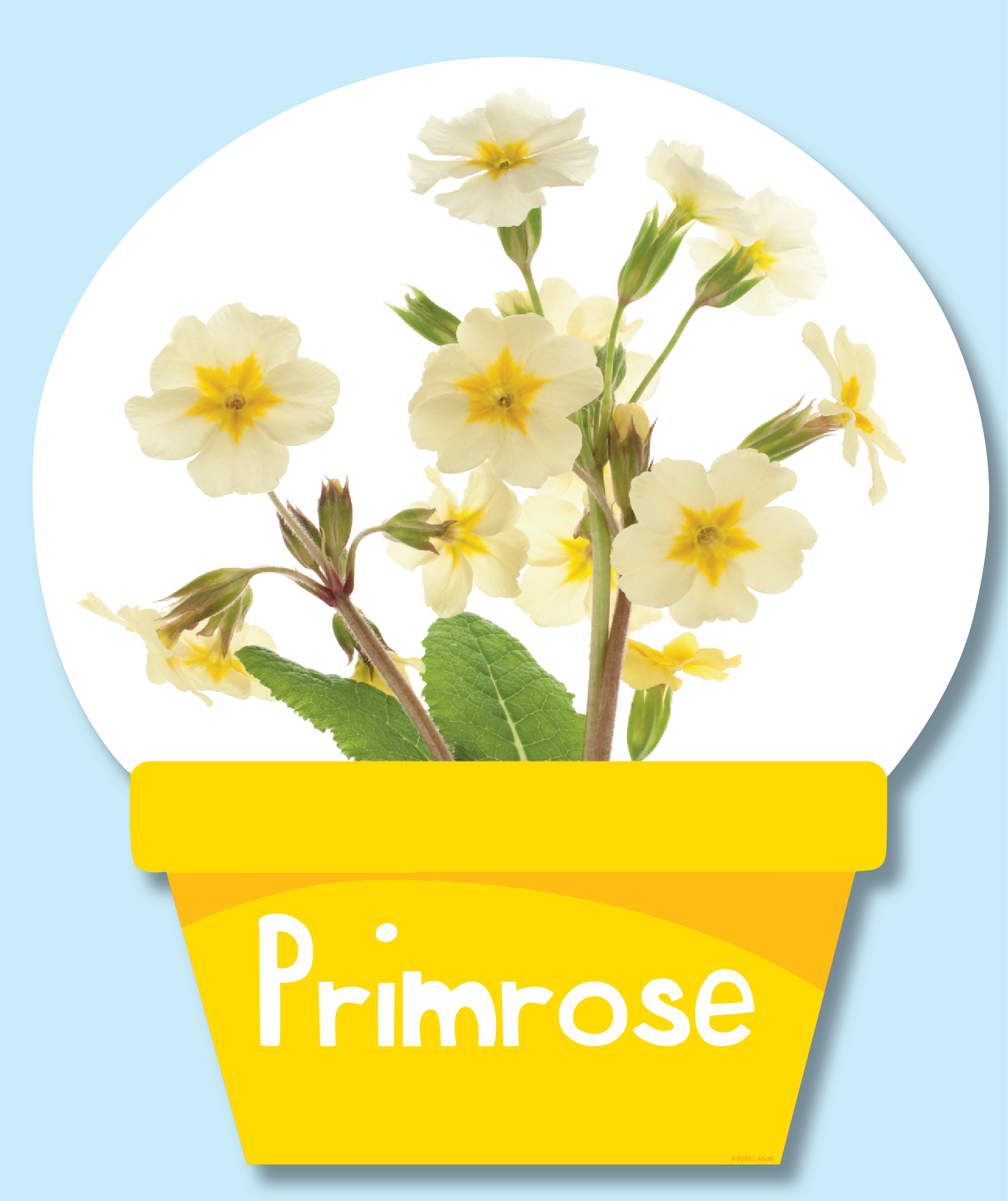 Set of 14 Flower Pot Signs