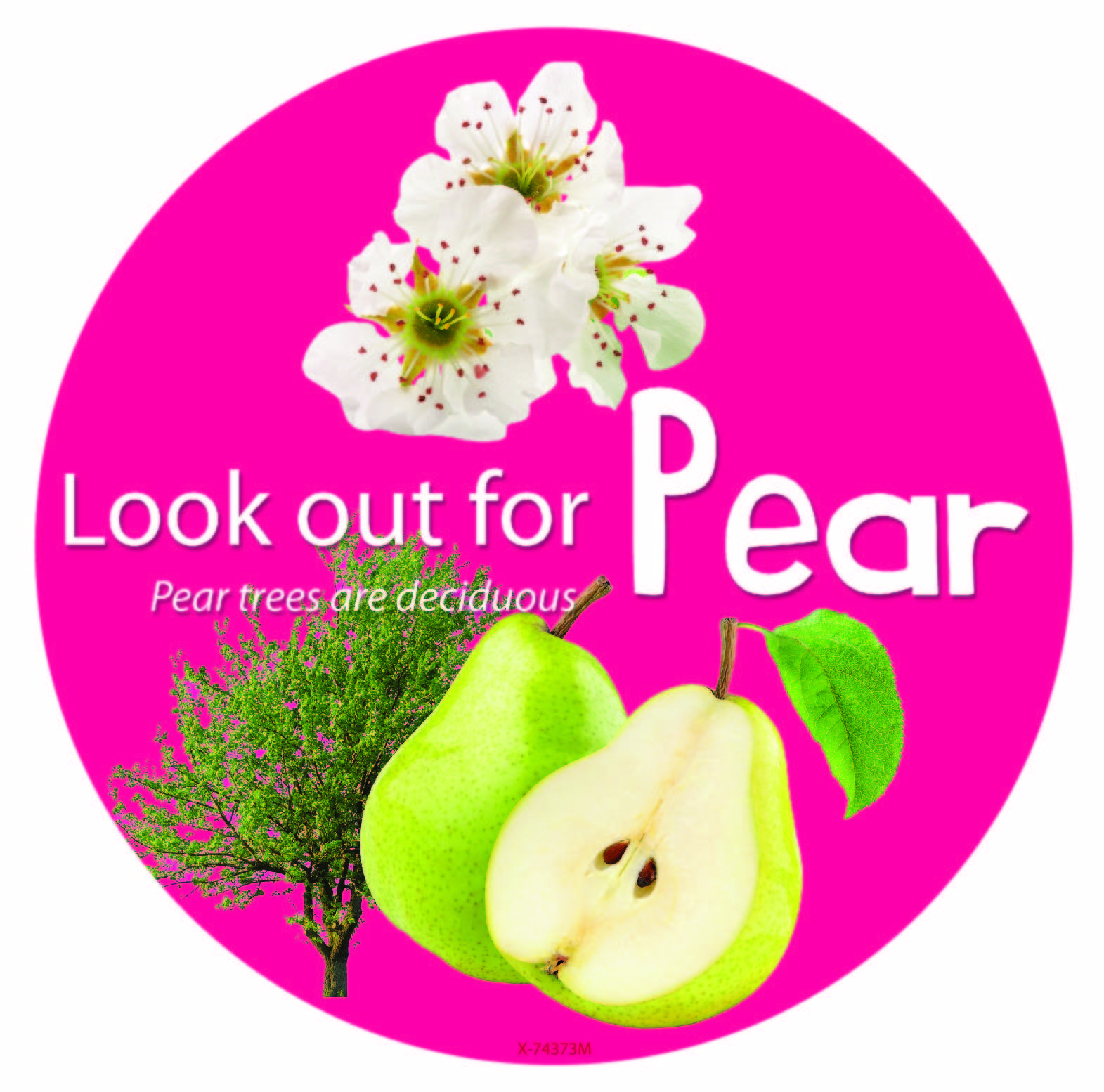 Set of 14 Tree Signs