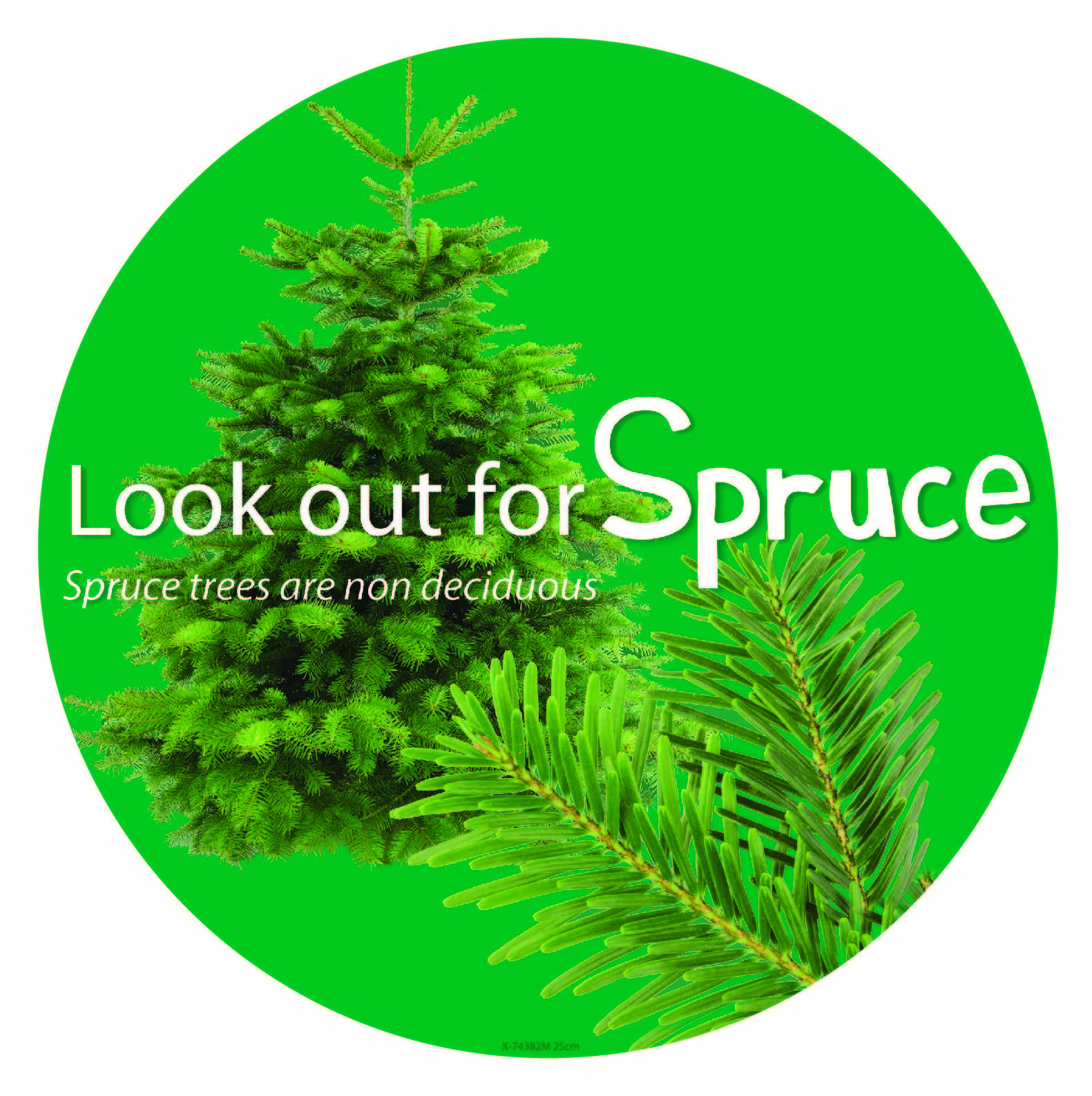 Set of 14 Tree Signs