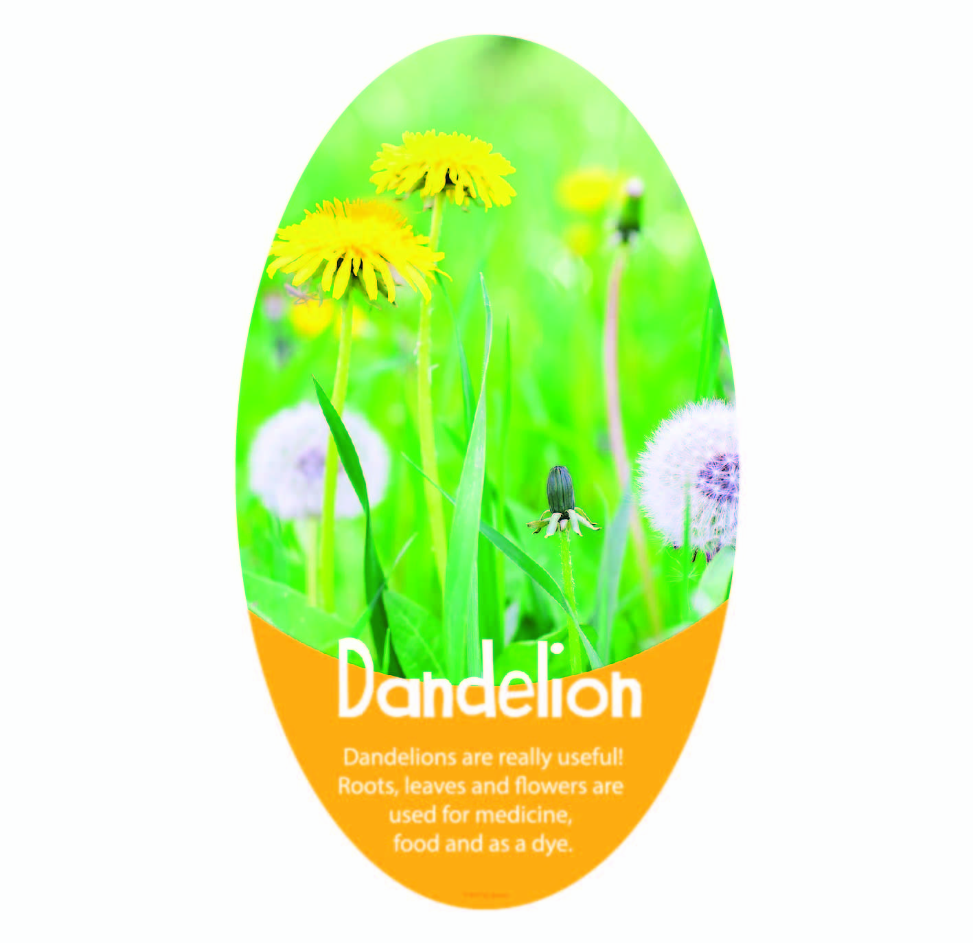 Set of 14 Wild Flower Signs