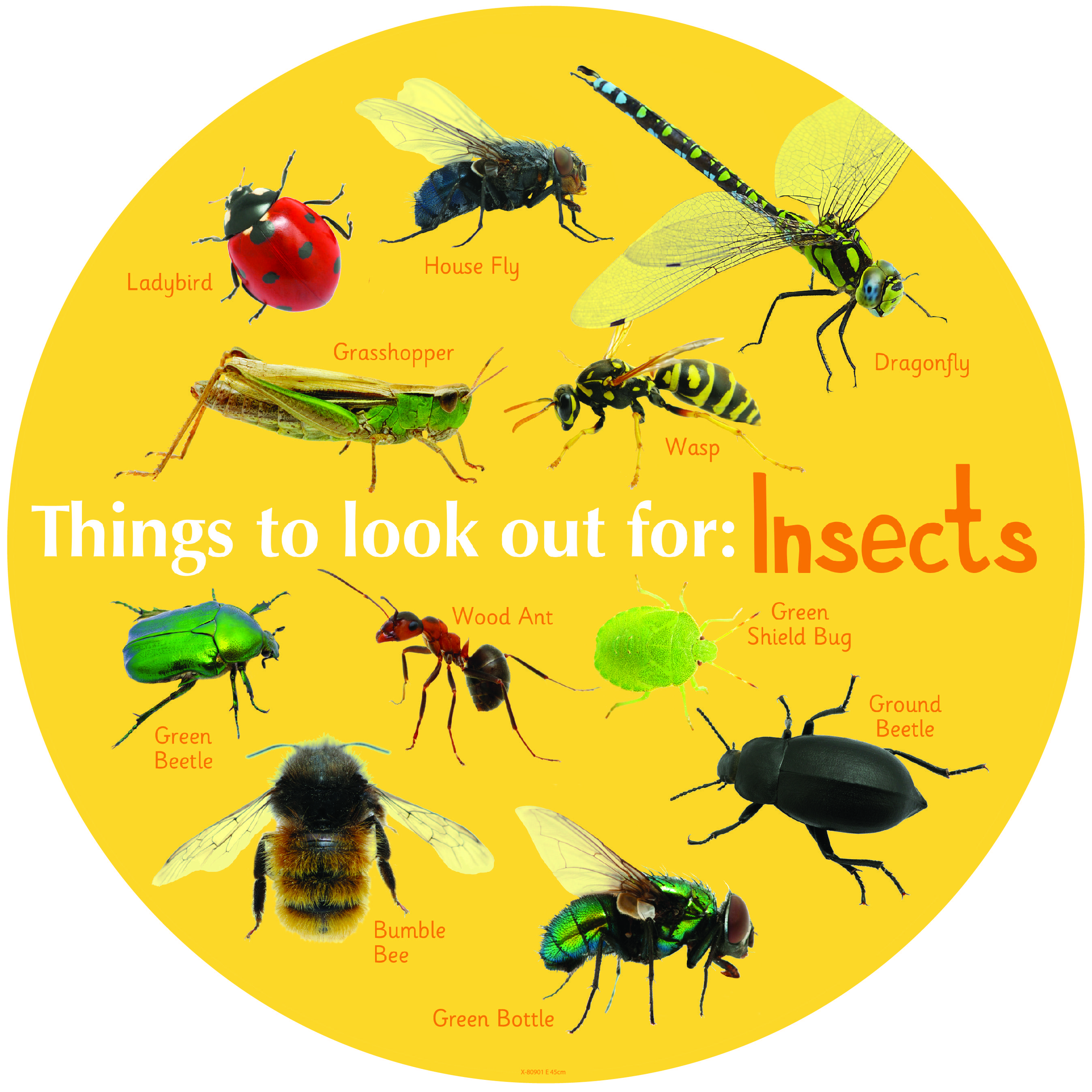 Things to look out for