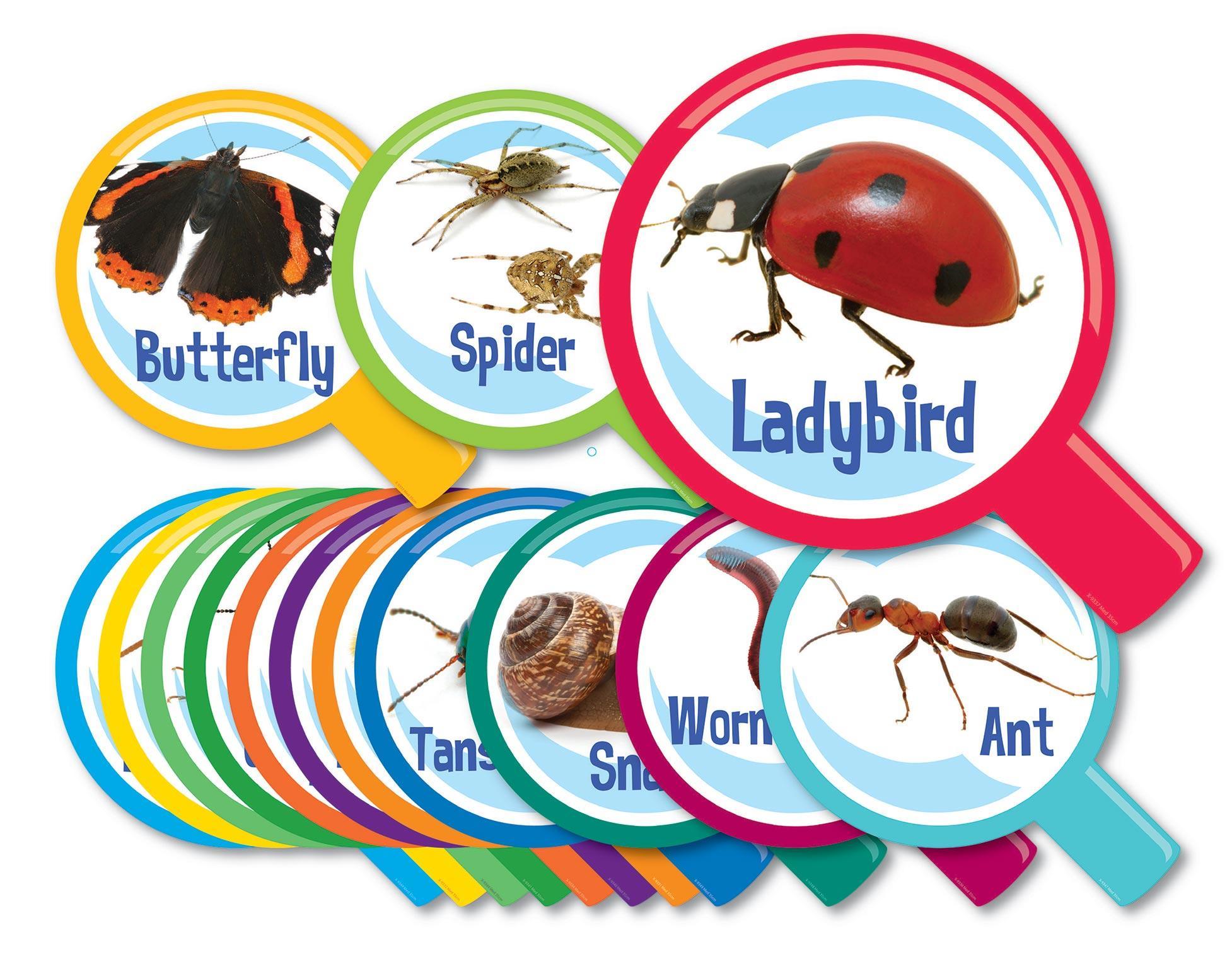 Set of 20 Minibeast Signs