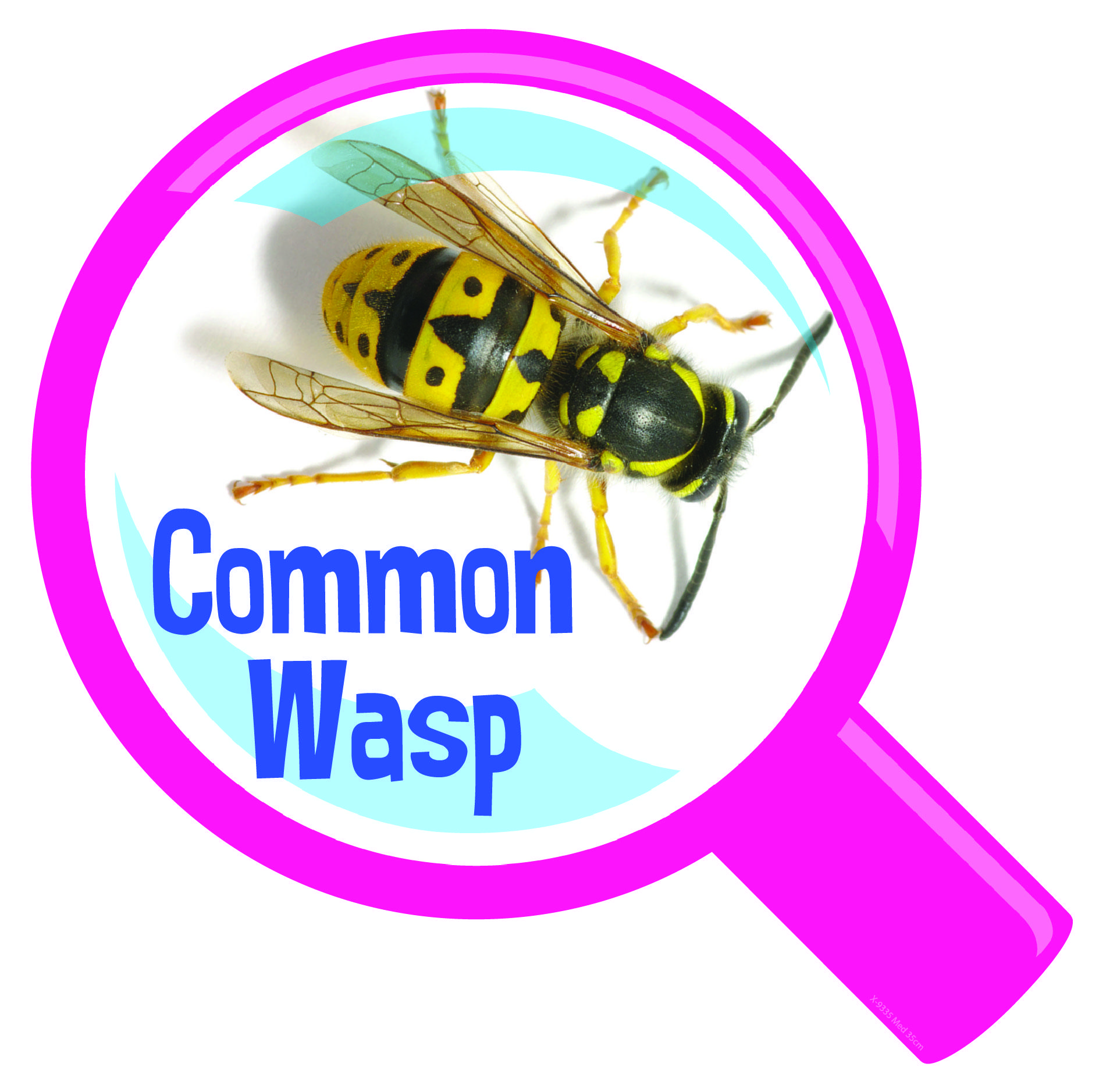 Set of 20 Minibeast Signs