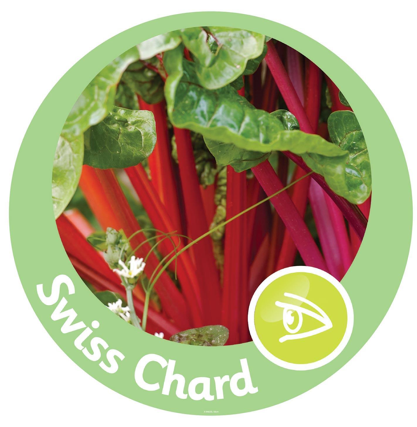 Sensory Garden Sign - Swiss Chard