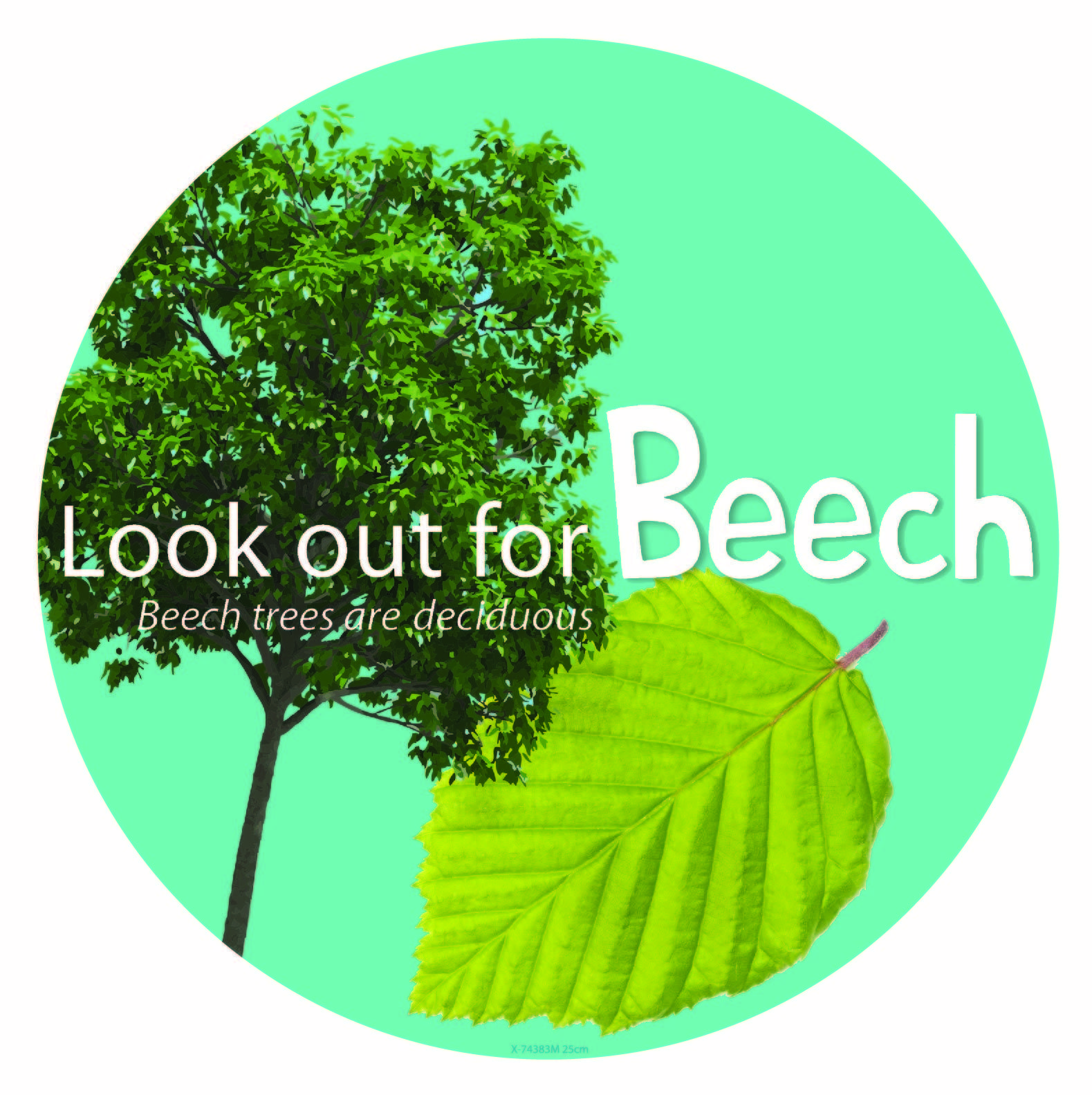 Set of 14 Tree Signs