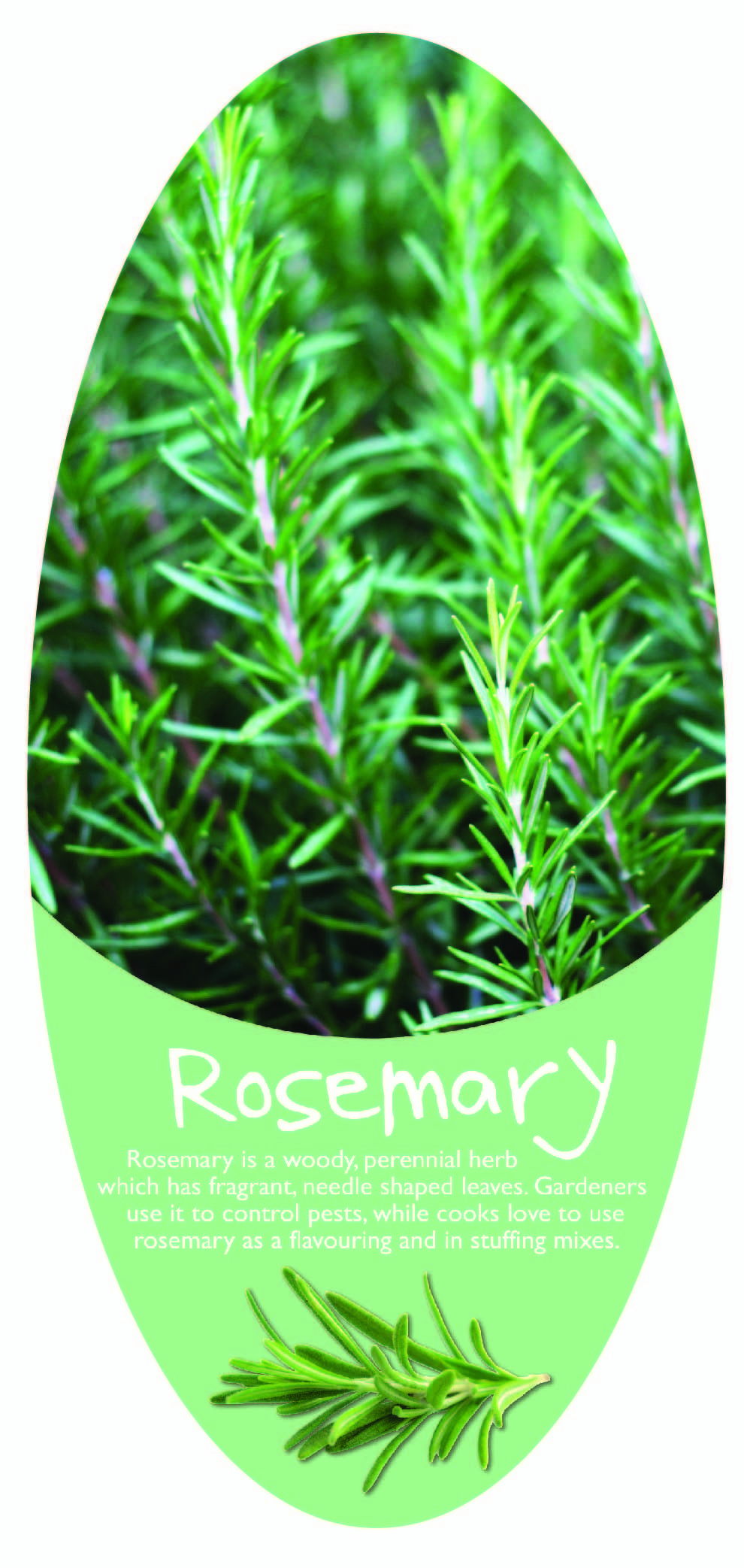 Set of 12 Herb Signs