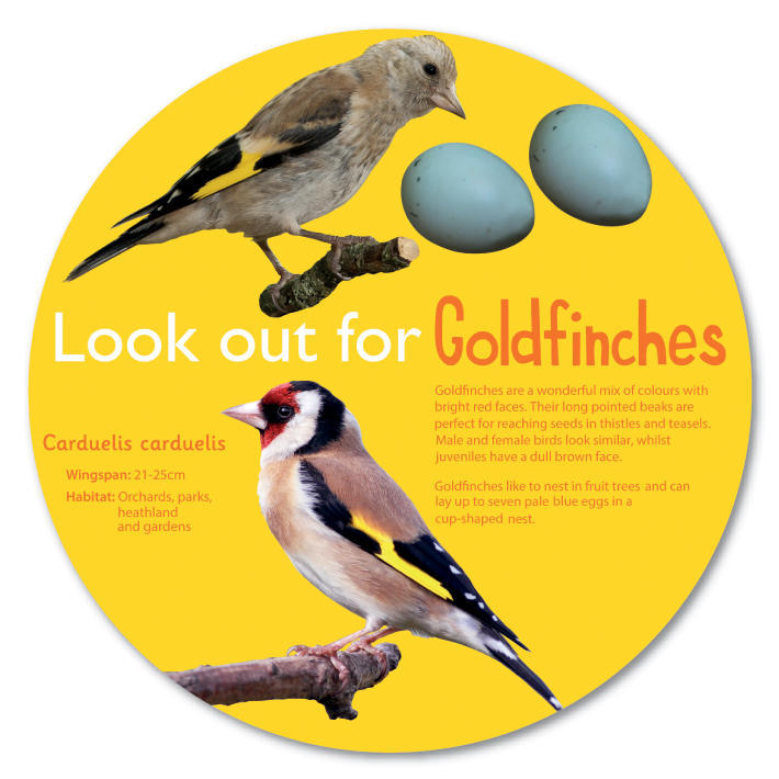 Look out for birds signs