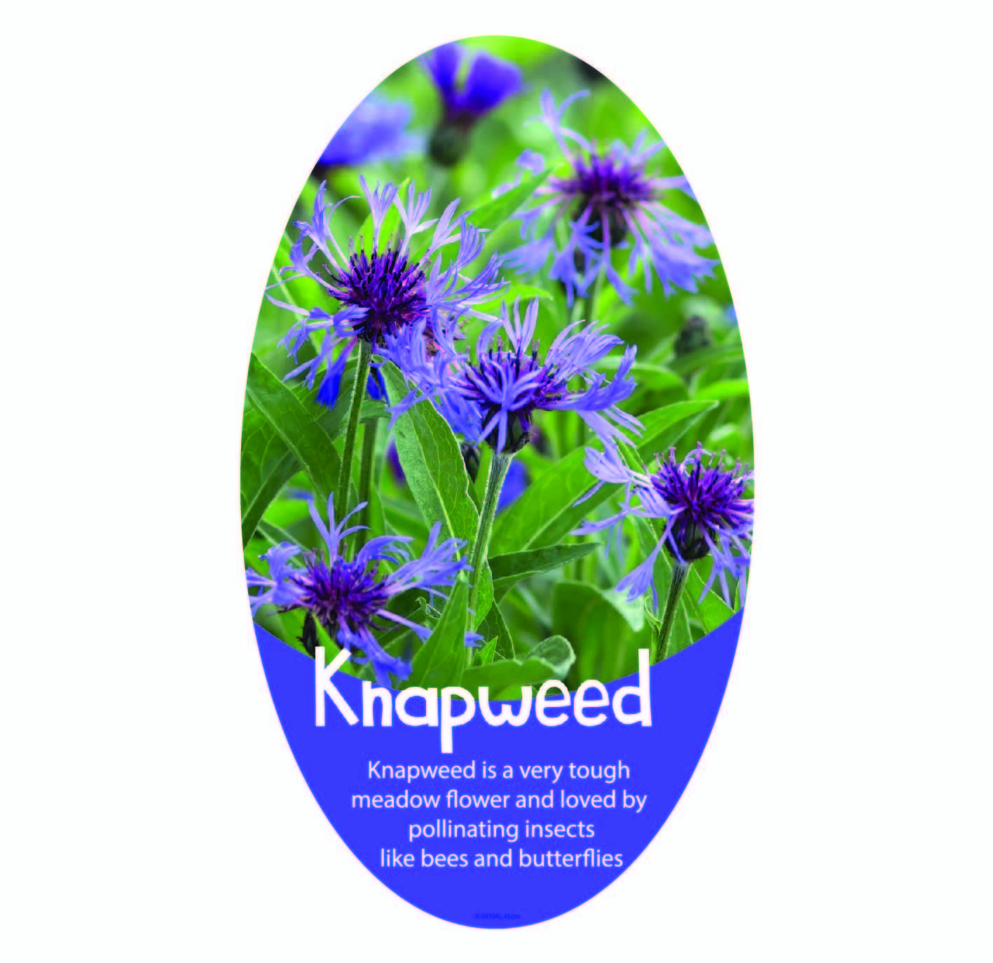 Set of 14 Wild Flower Signs