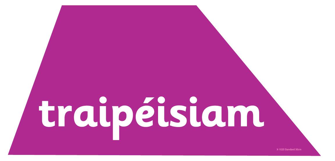 Set of 11 2D Shape Signs (as Gaeilge)