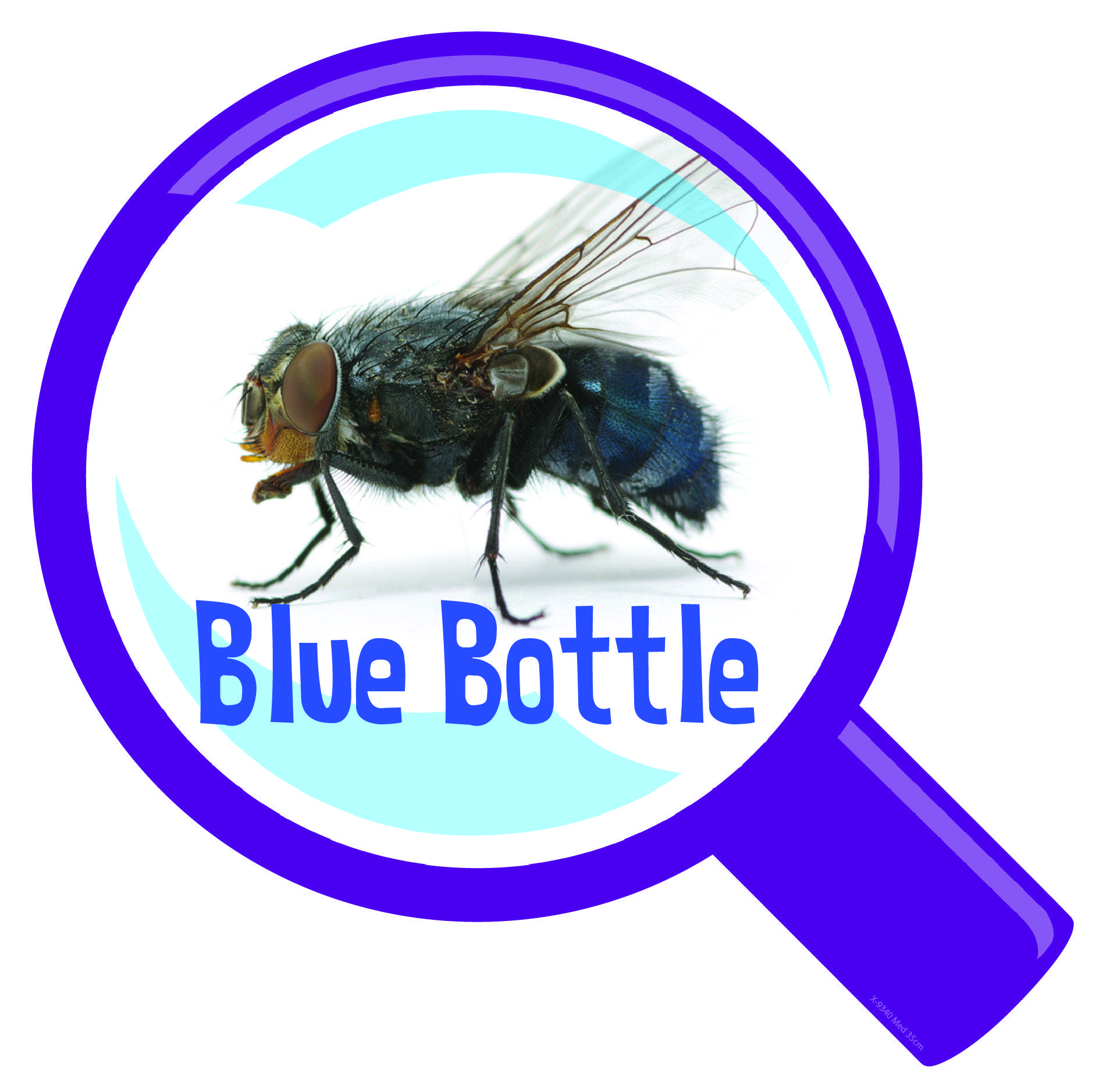 Set of 20 Minibeast Signs