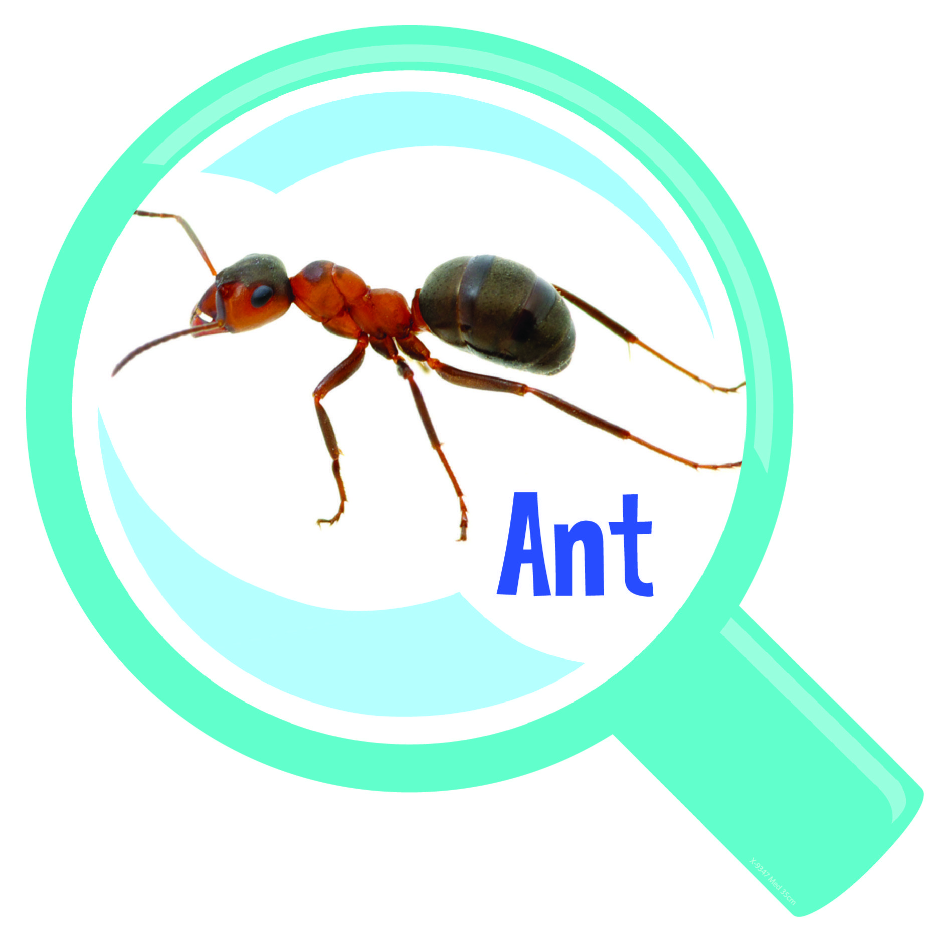 Set of 20 Minibeast Signs