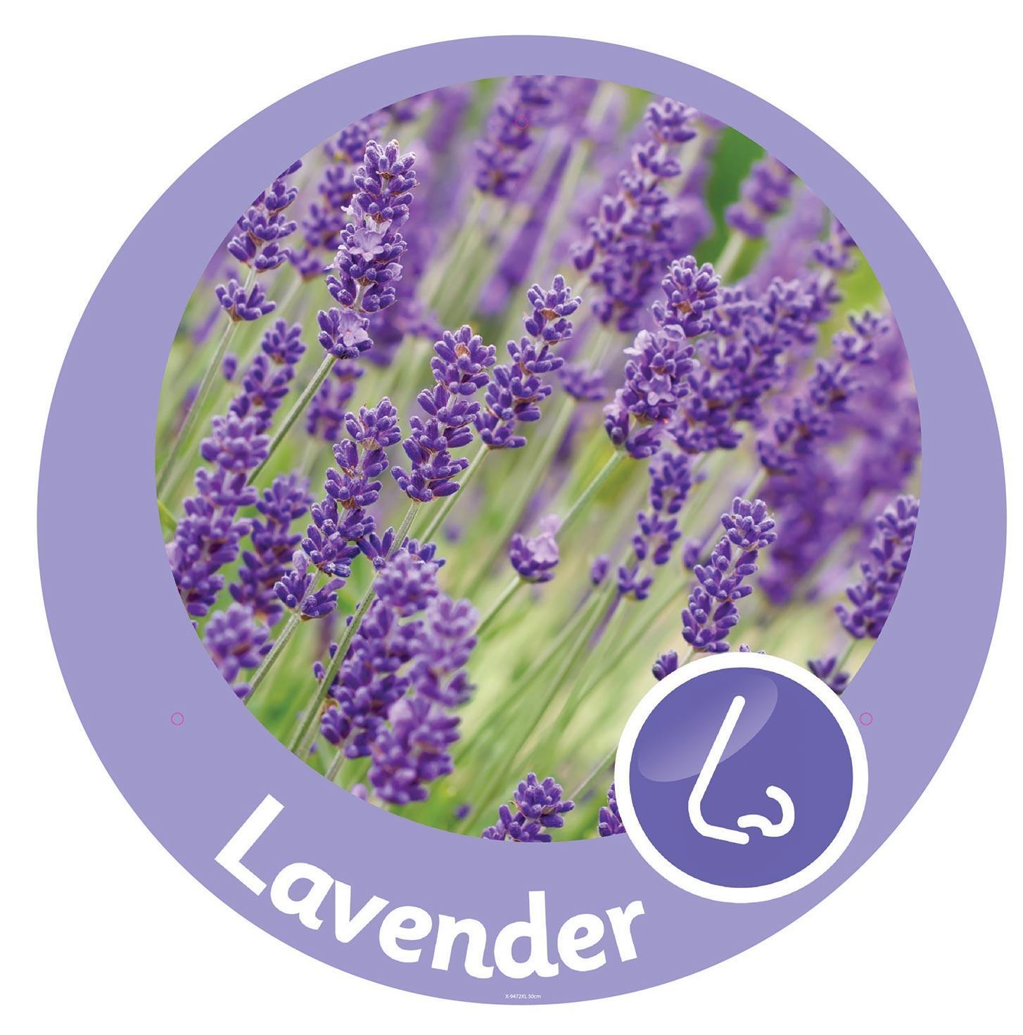 Sensory Garden Sign - Lavender