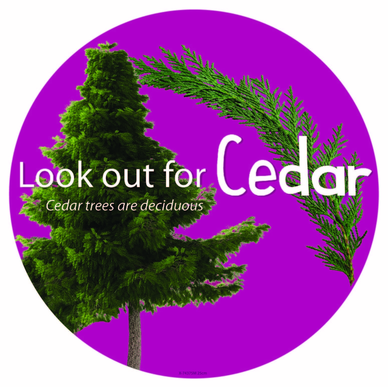 Set of 14 Tree Signs