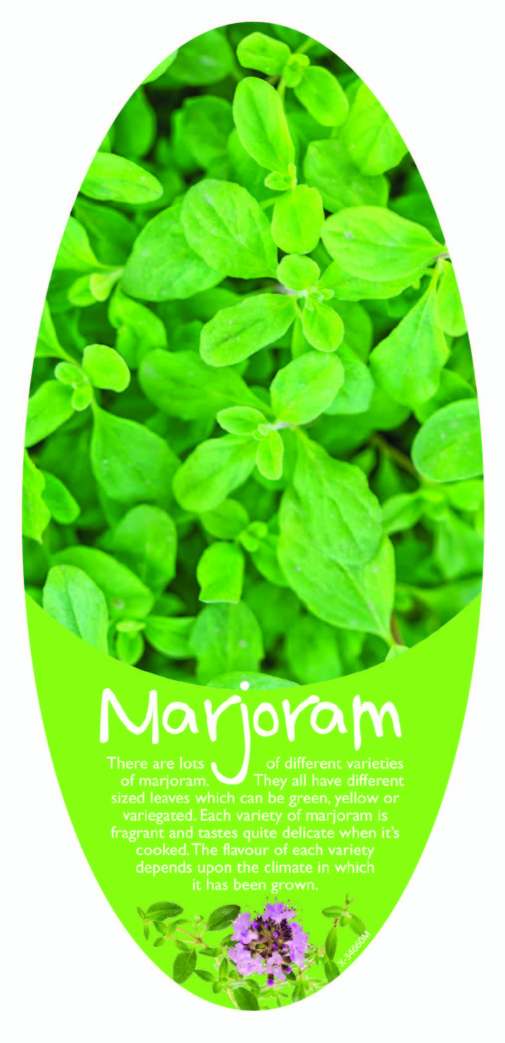 Set of 12 Herb Signs