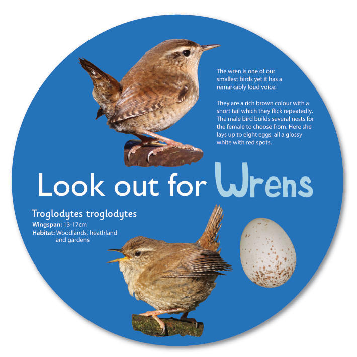 Look out for birds signs