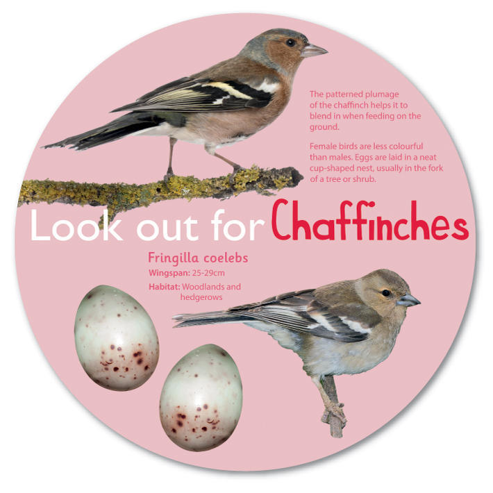 Look out for birds signs