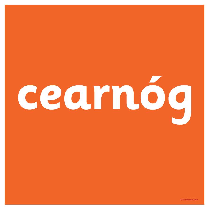 Set of 11 2D Shape Signs (as Gaeilge)