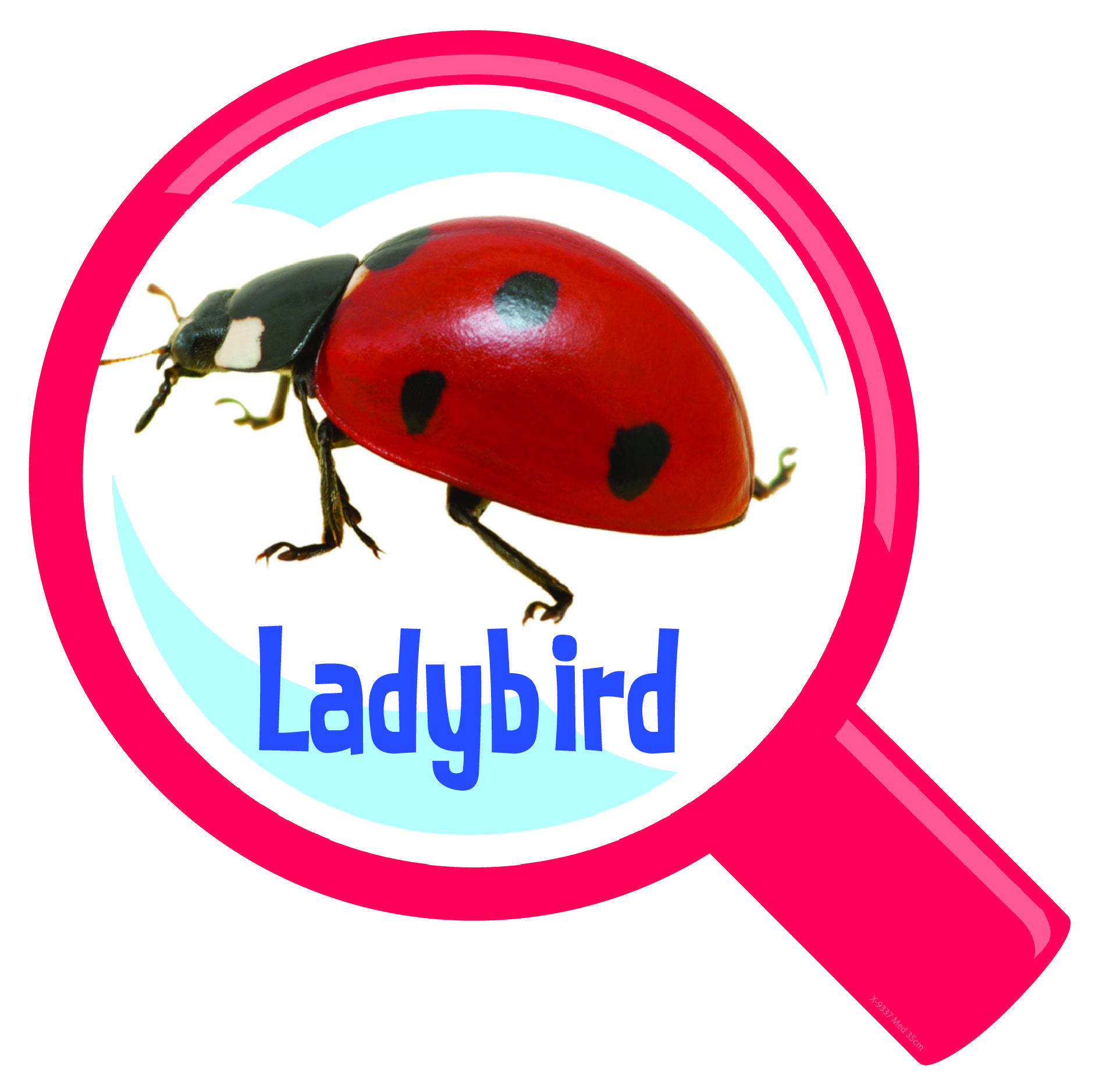 Set of 20 Minibeast Signs