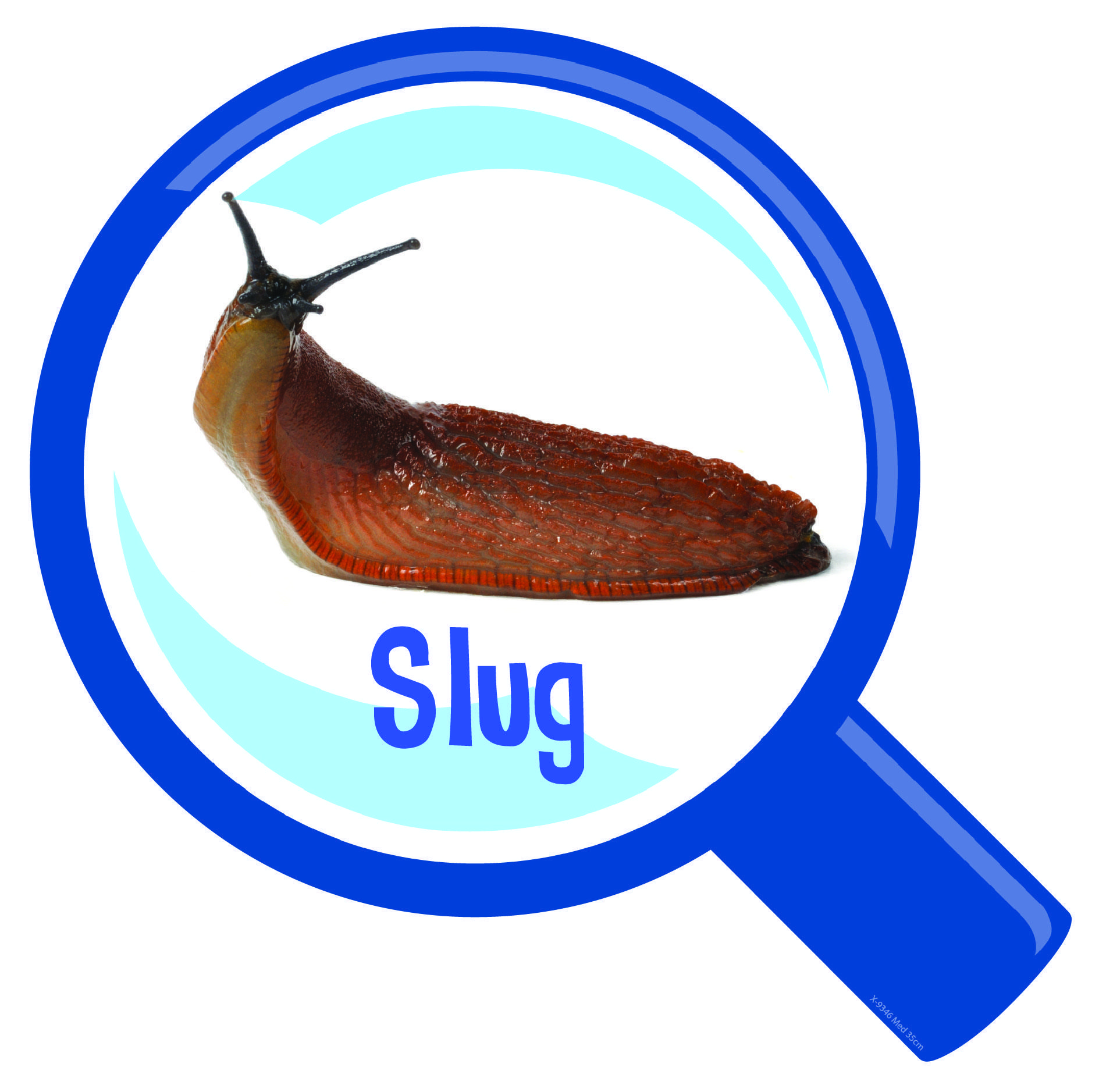 Set of 20 Minibeast Signs