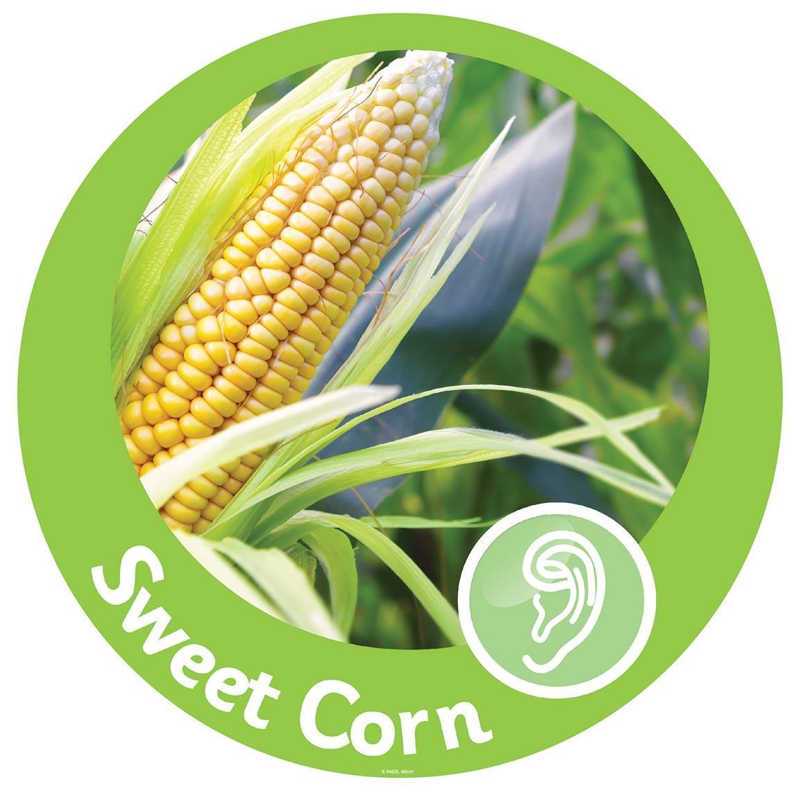 Sensory Garden Sign - Sweet Corn