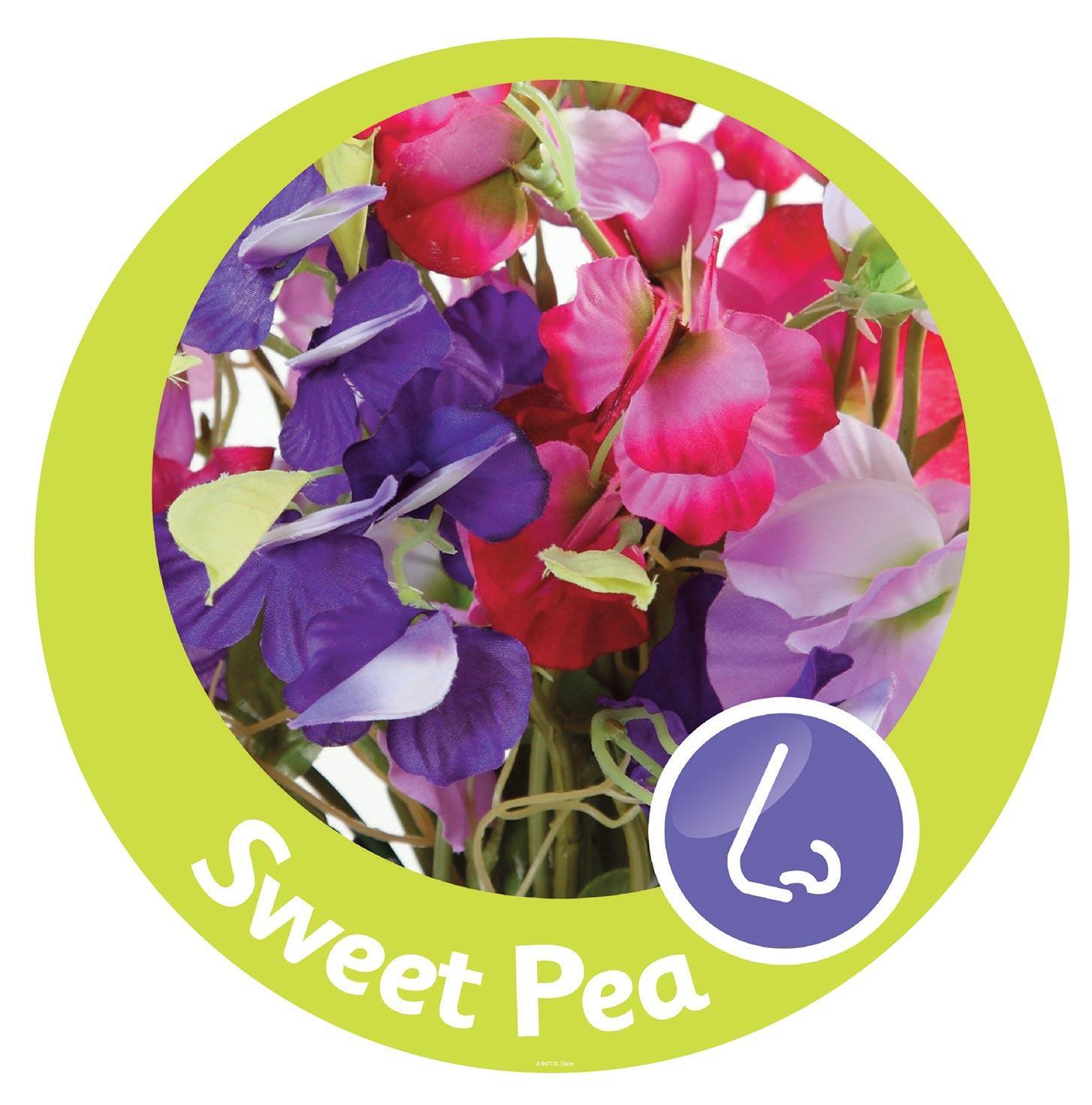 Sensory Garden Sign - Sweet Pea