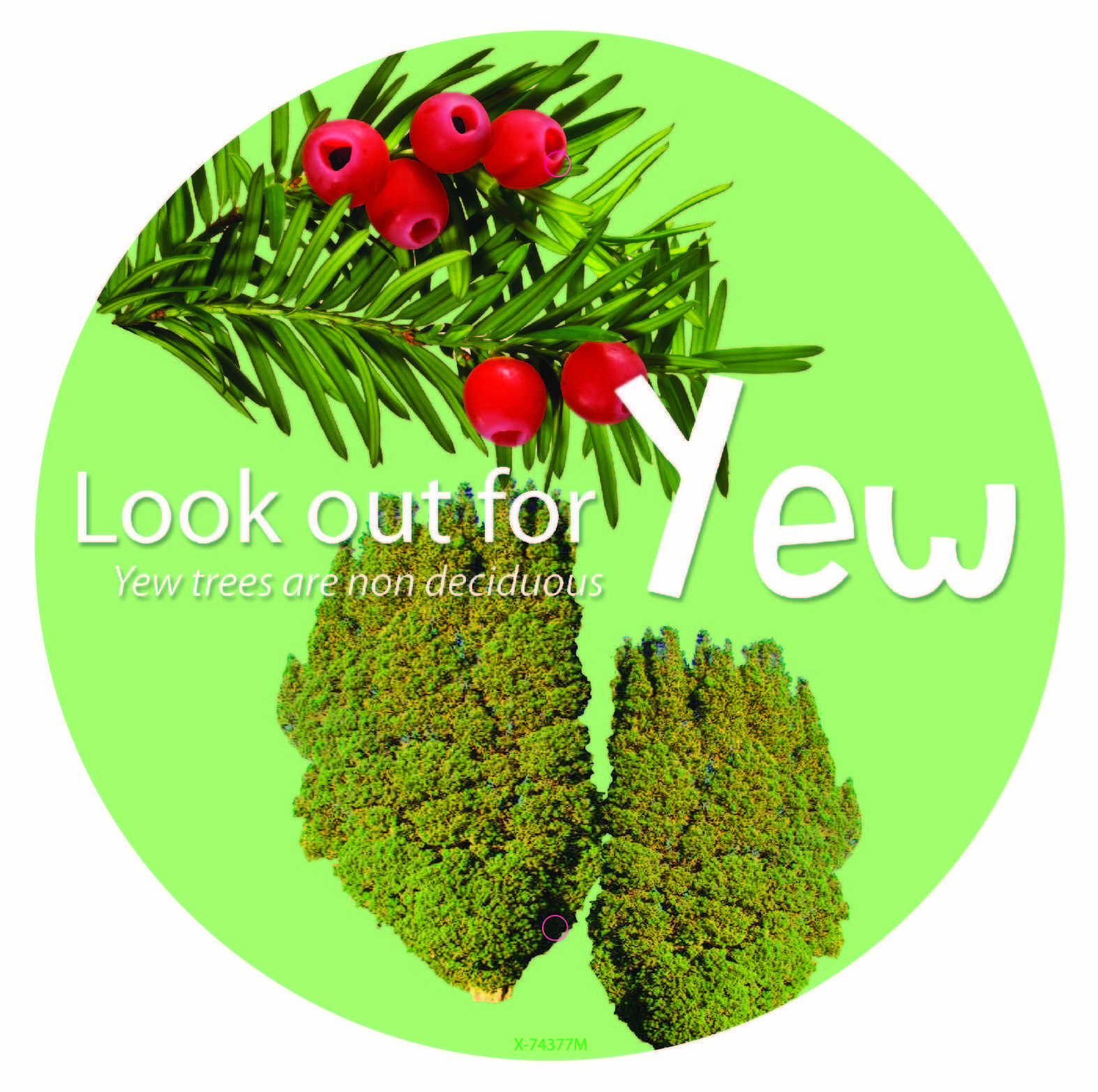 Set of 14 Tree Signs