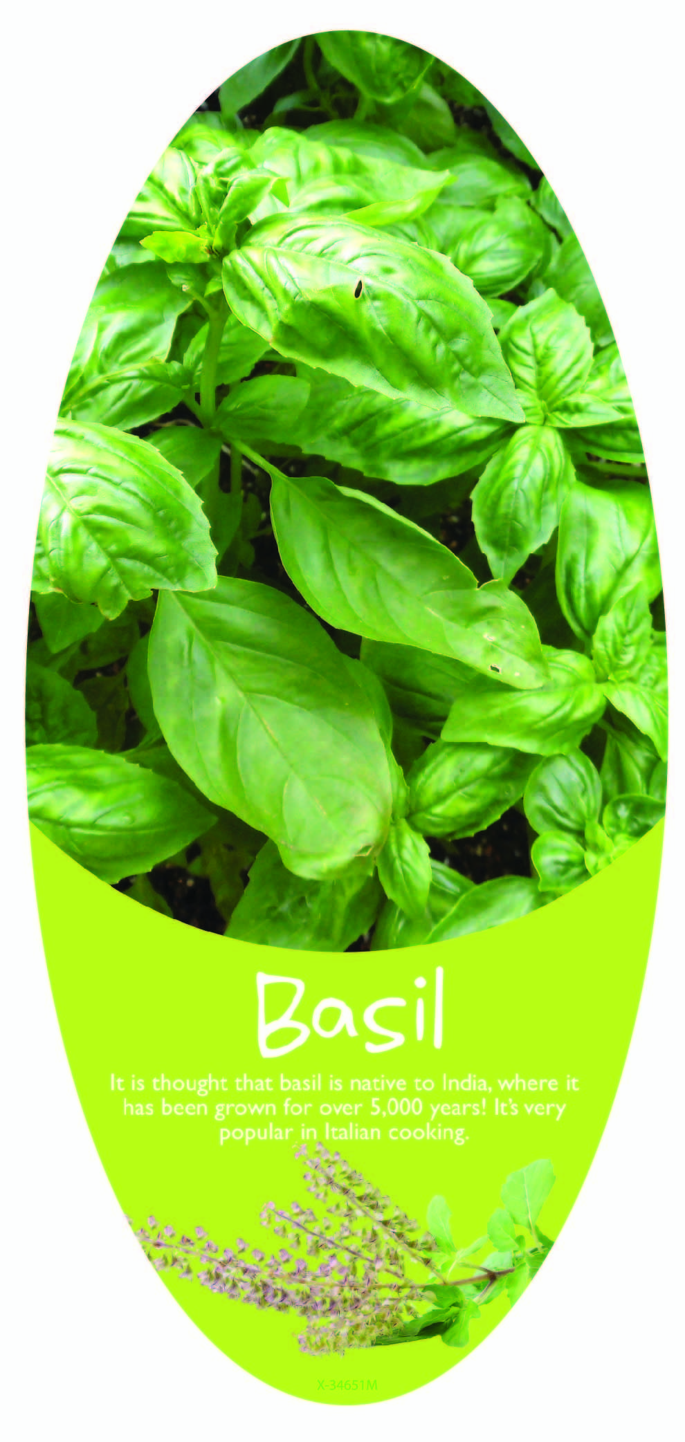 Set of 12 Herb Signs