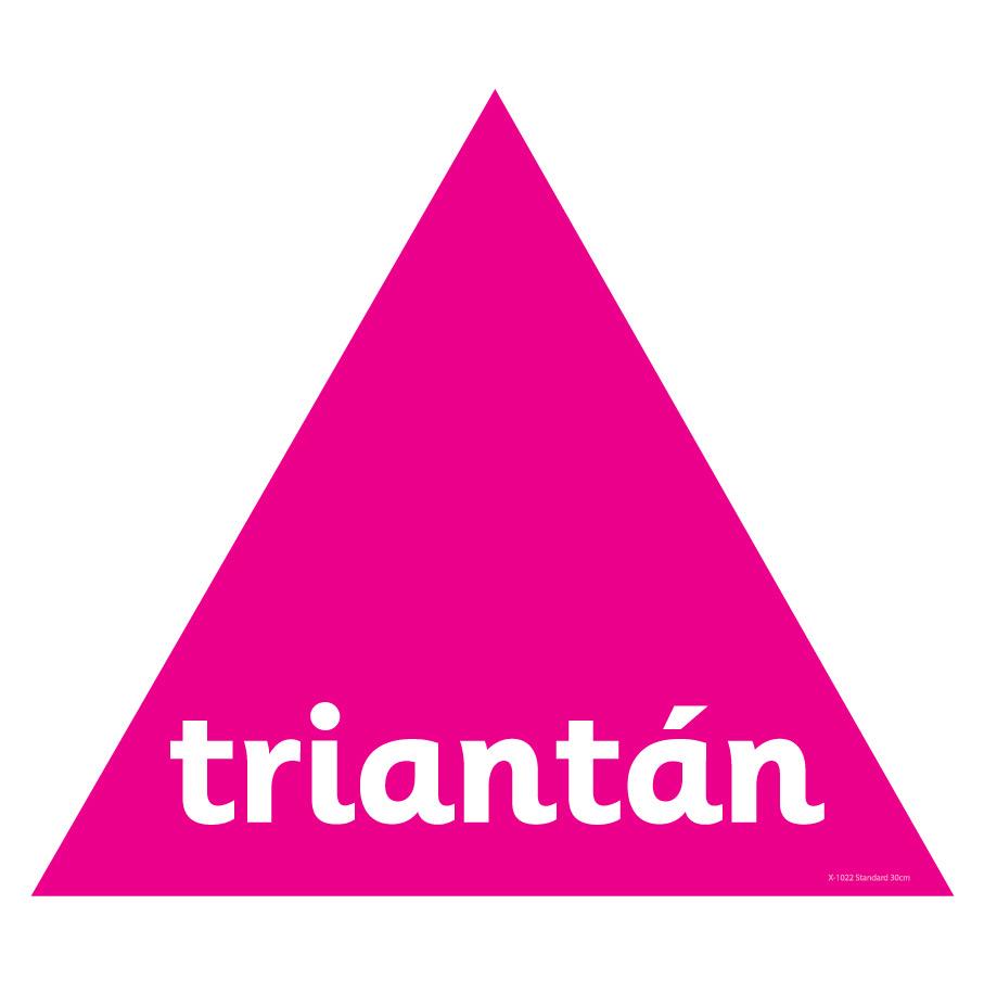 Set of 11 2D Shape Signs (as Gaeilge)