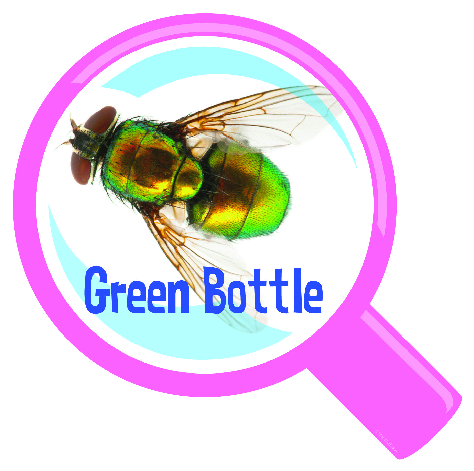 Set of 20 Minibeast Signs