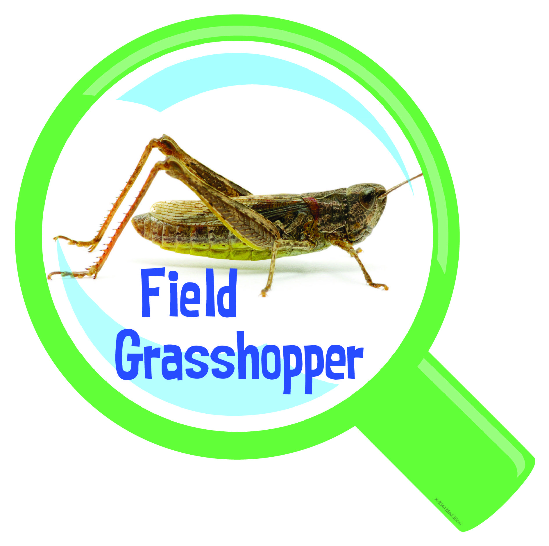 Set of 20 Minibeast Signs