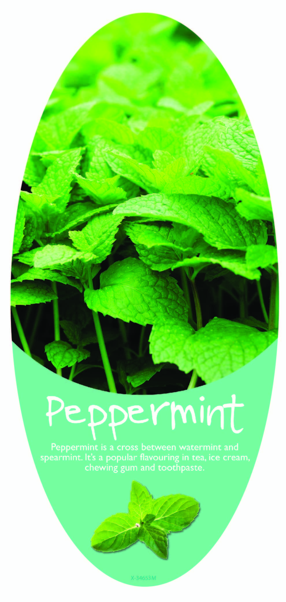 Set of 12 Herb Signs