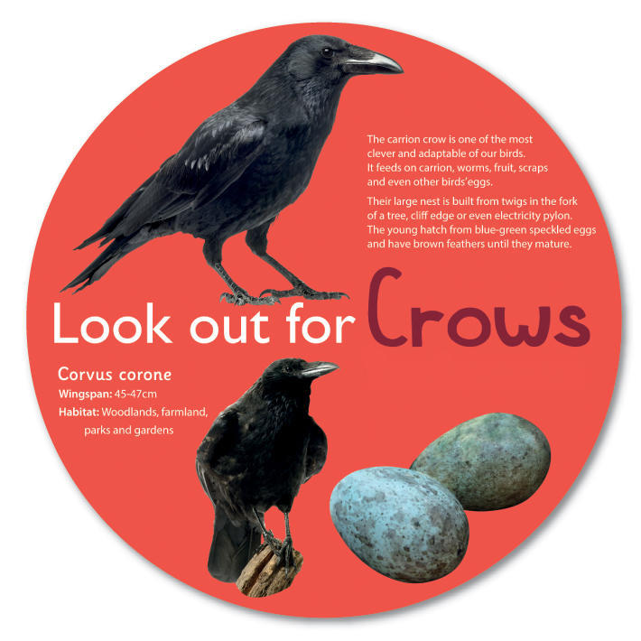 Look out for birds signs