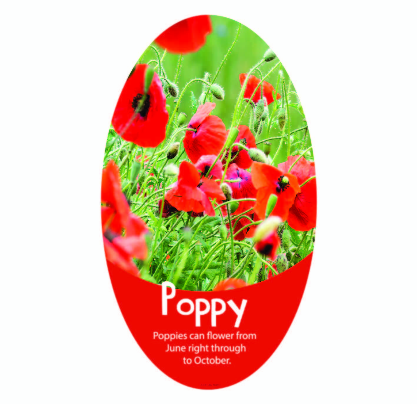 Set of 14 Wild Flower Signs