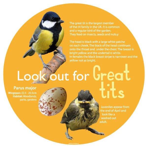 Look out for birds signs